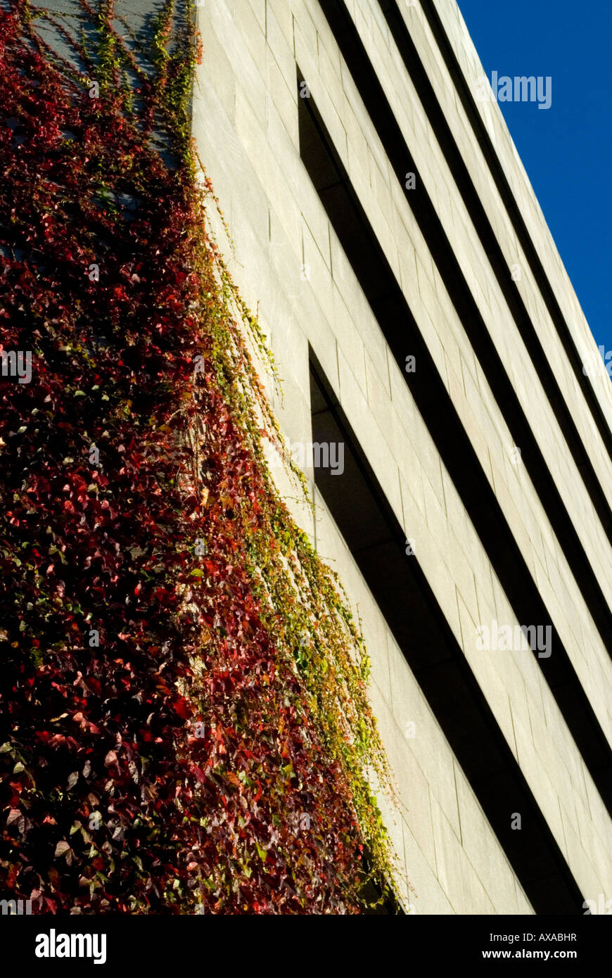 A corner of Wood Quay civic buildings in Dublin Ireland covered with ...