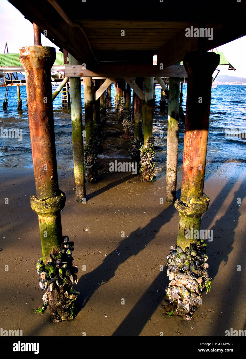 Pier Stilt Poles Stock Photo - Alamy