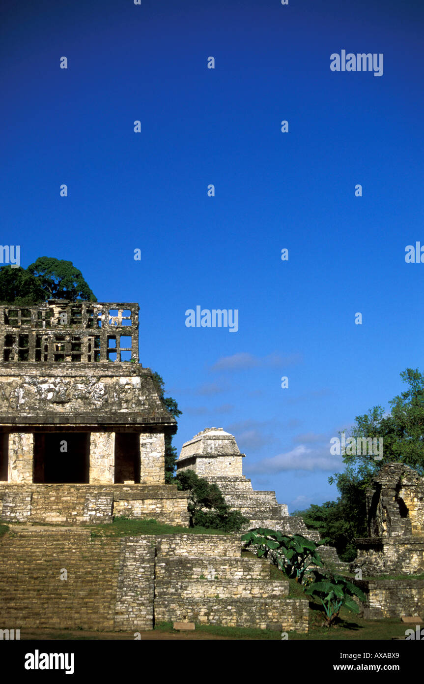 T. del Sol u. Templo de las Inscriptiones, Palenque, Chiapas Mexico ...