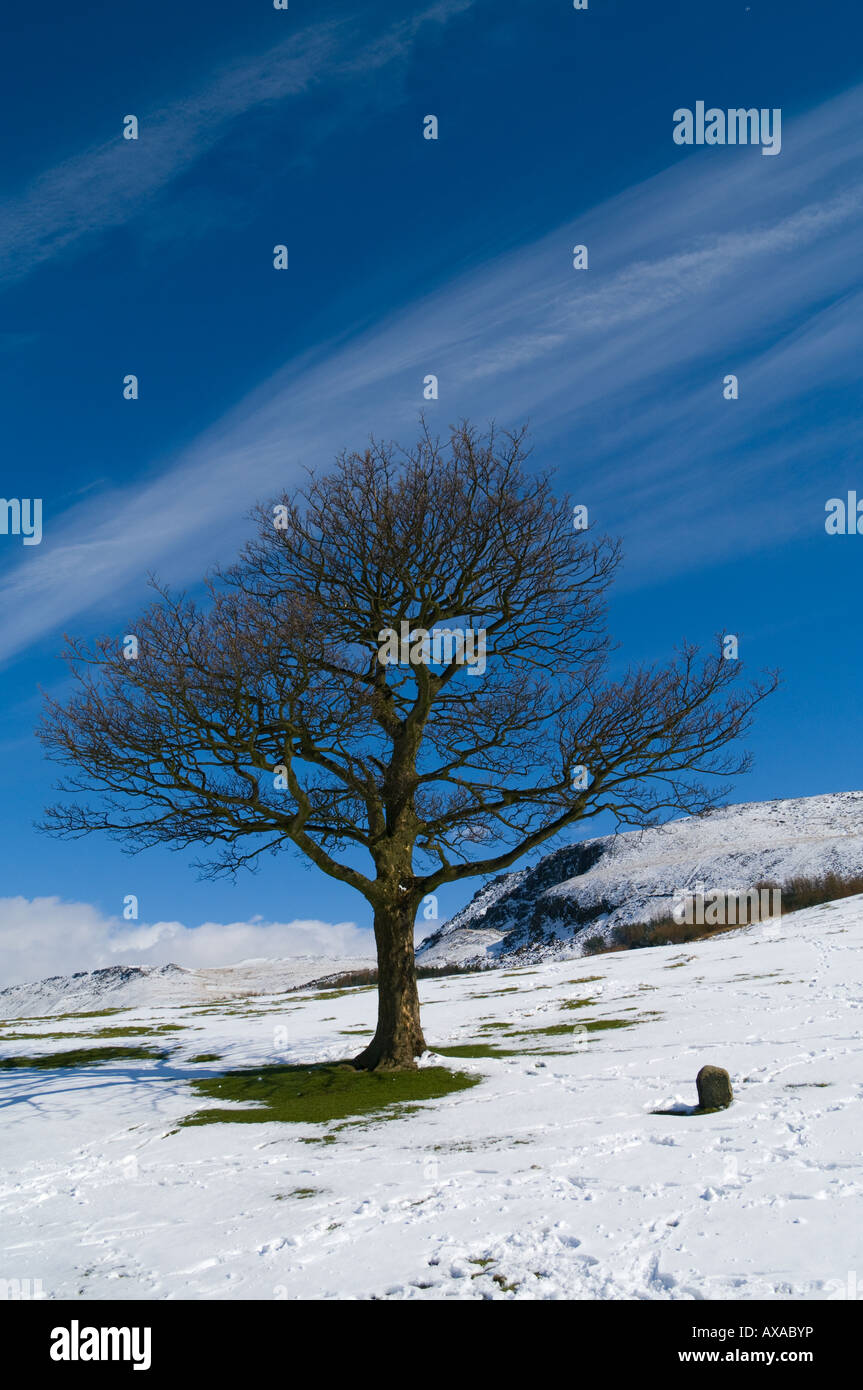 Cloud trails hi-res stock photography and images - Alamy