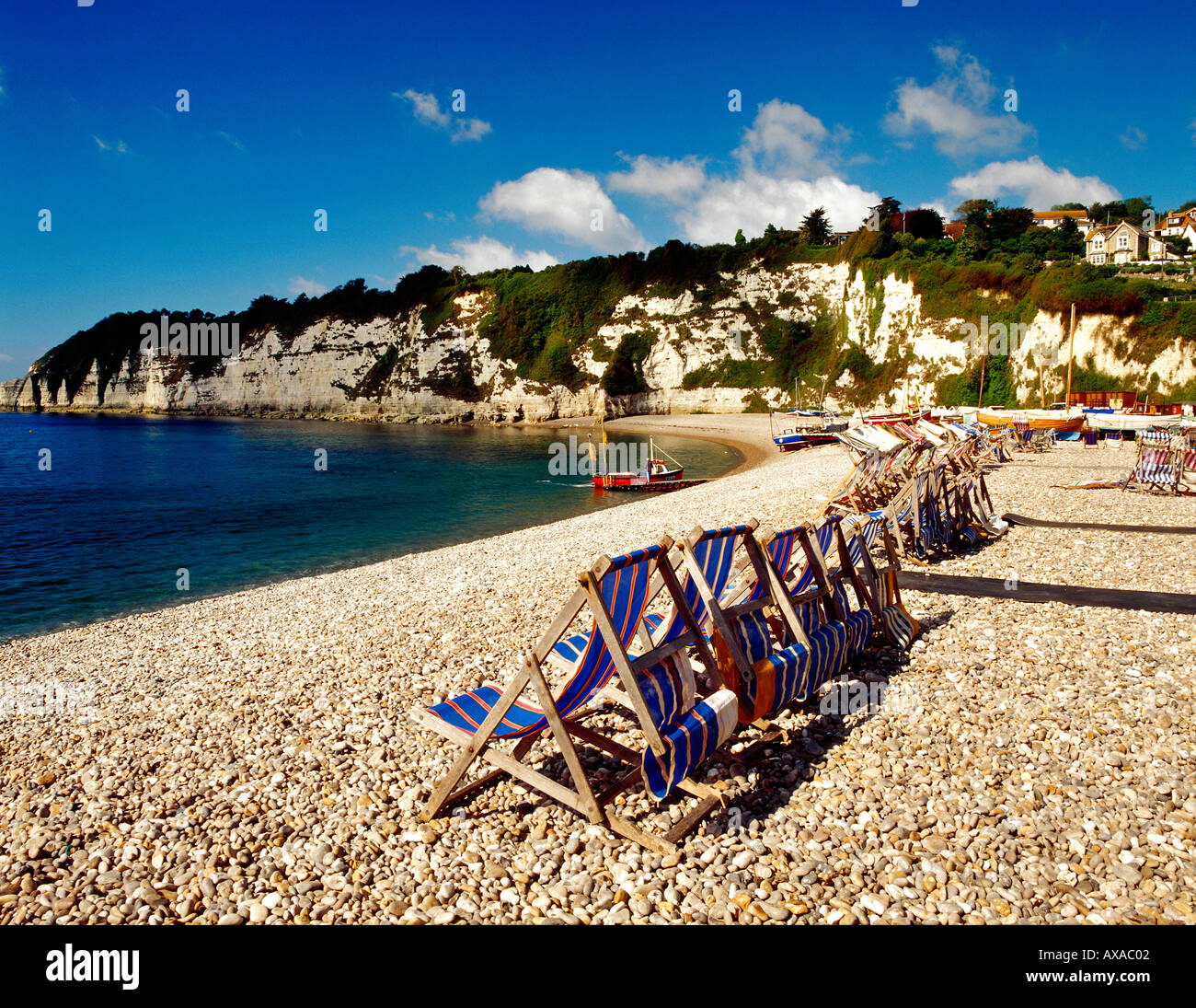 The Beach at Beer Devon UK Stock Photo - Alamy