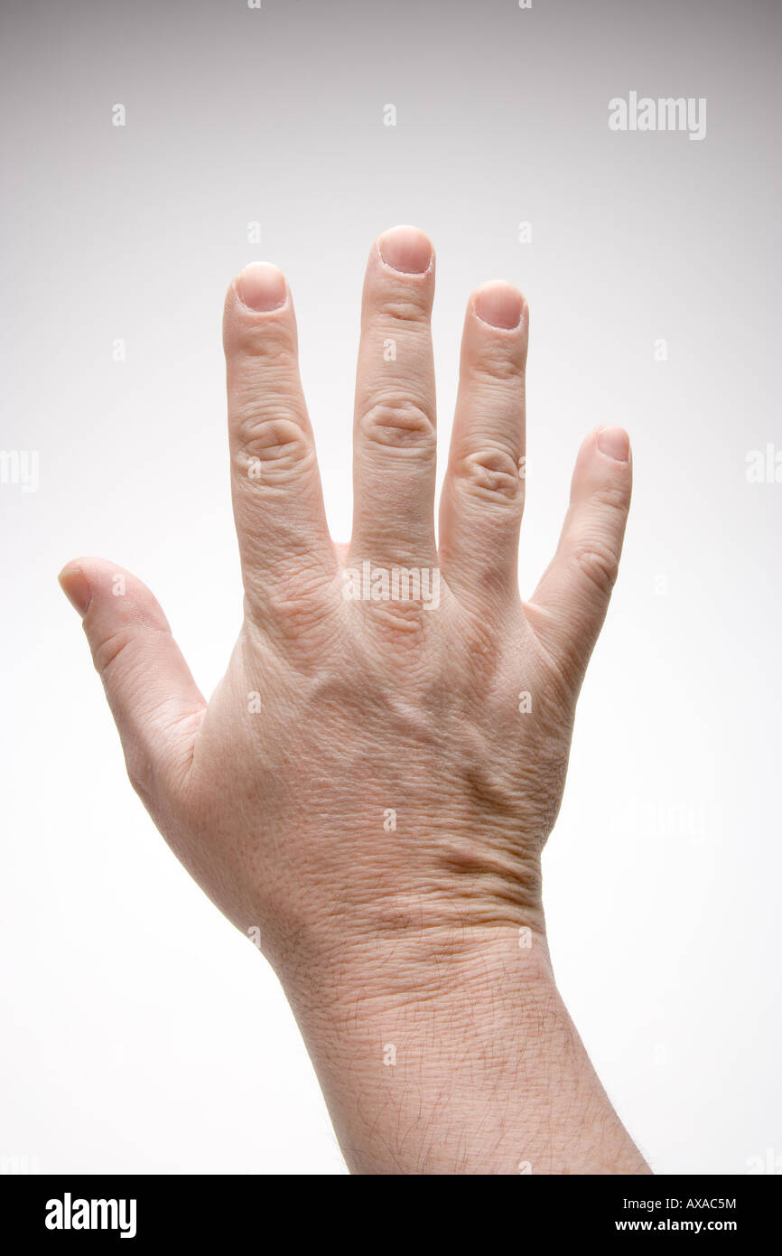 Spread hand back white background hi-res stock photography and images ...