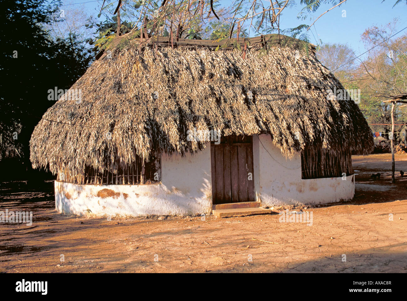 Elk156 1361 Mexico Yucatan traditional Yucatan Mayan house Stock Photo ...