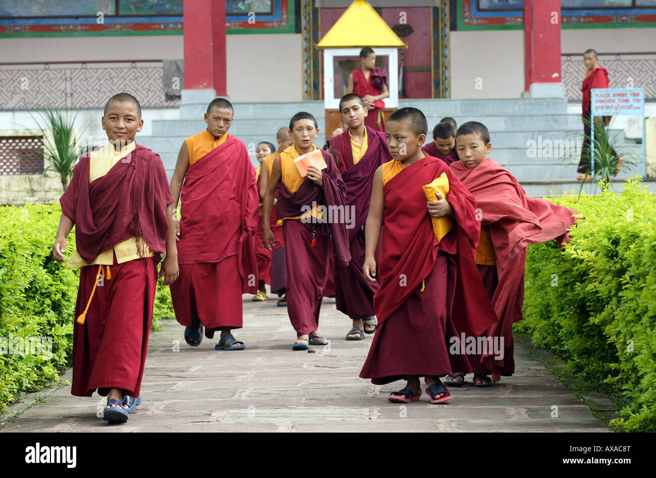 Young Buddhist monks, India Stock Photo - Alamy