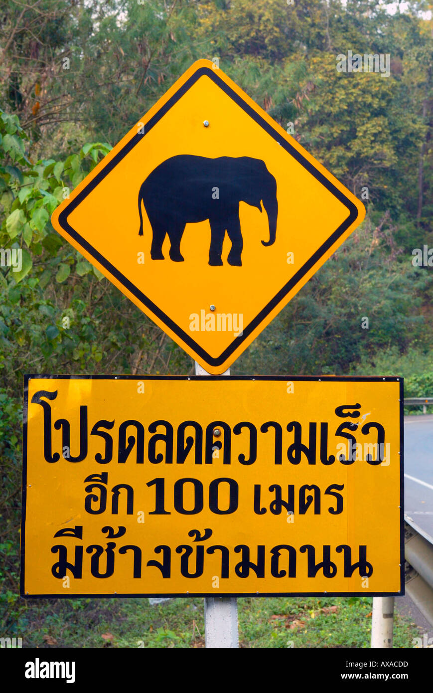 Beware of elephants road sign hi-res stock photography and images - Alamy