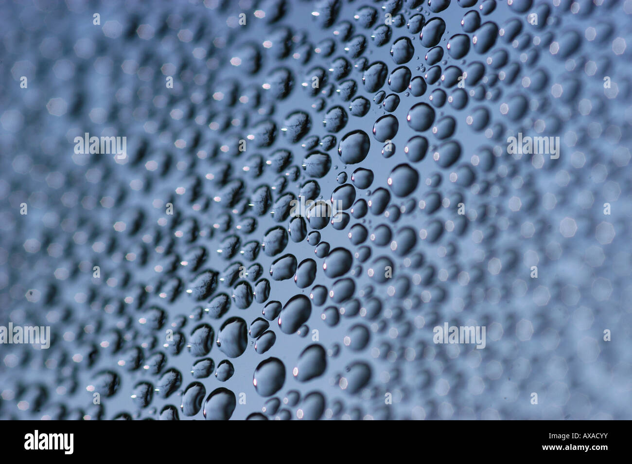 Close up of condensation on the window Stock Photo - Alamy