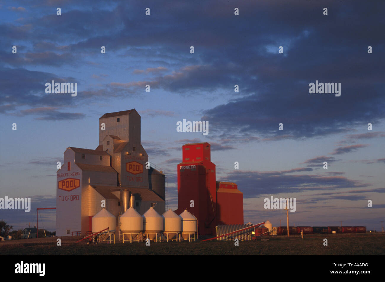 Tuxford hi-res stock photography and images - Alamy