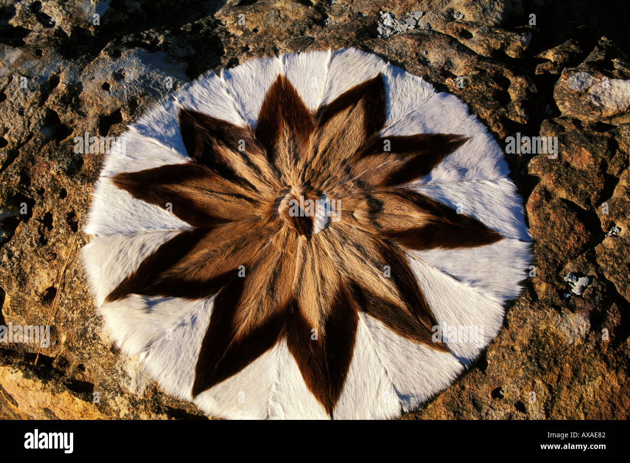 African Art, Rug made from springbok hides Stock Photo - Alamy