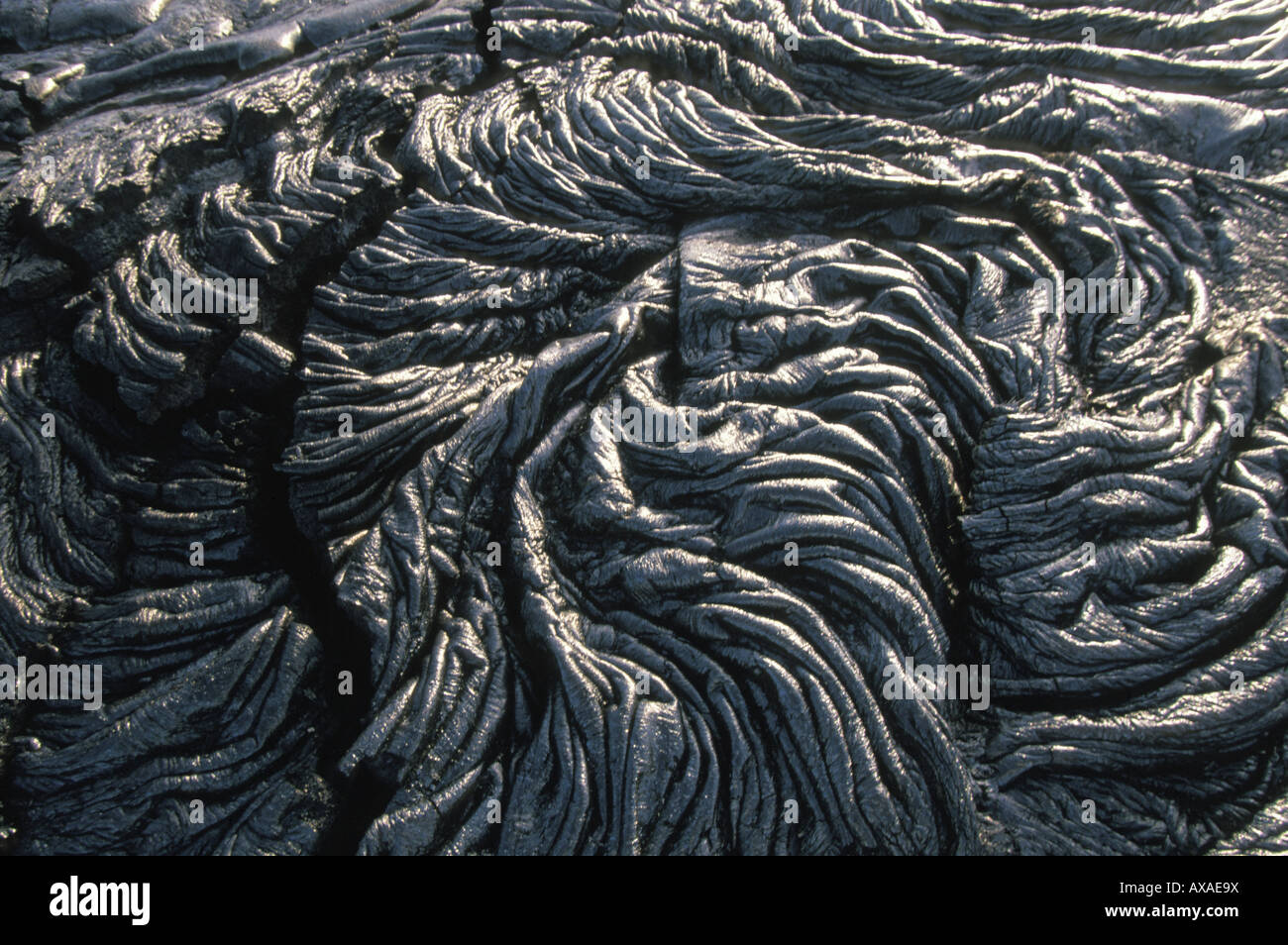 Day old Pahoehoe lava Volcanoes National Park Hawaii Stock Photo - Alamy