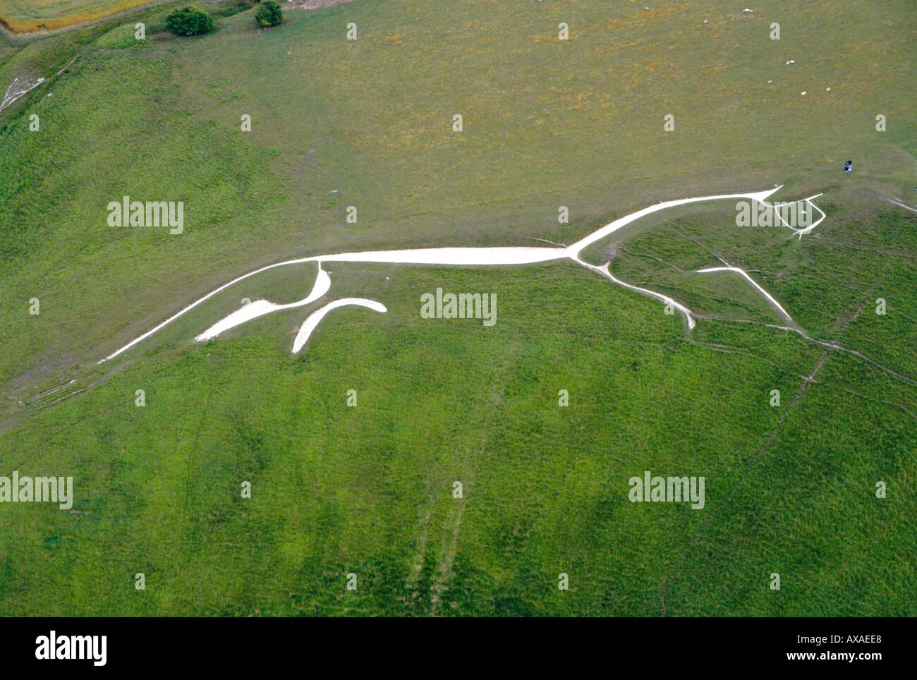 Uffington White Horse aerial view Oxfordshire England Stock Photo - Alamy