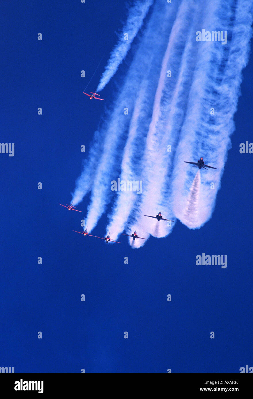 RAF Red Arrows flying display Stock Photo - Alamy