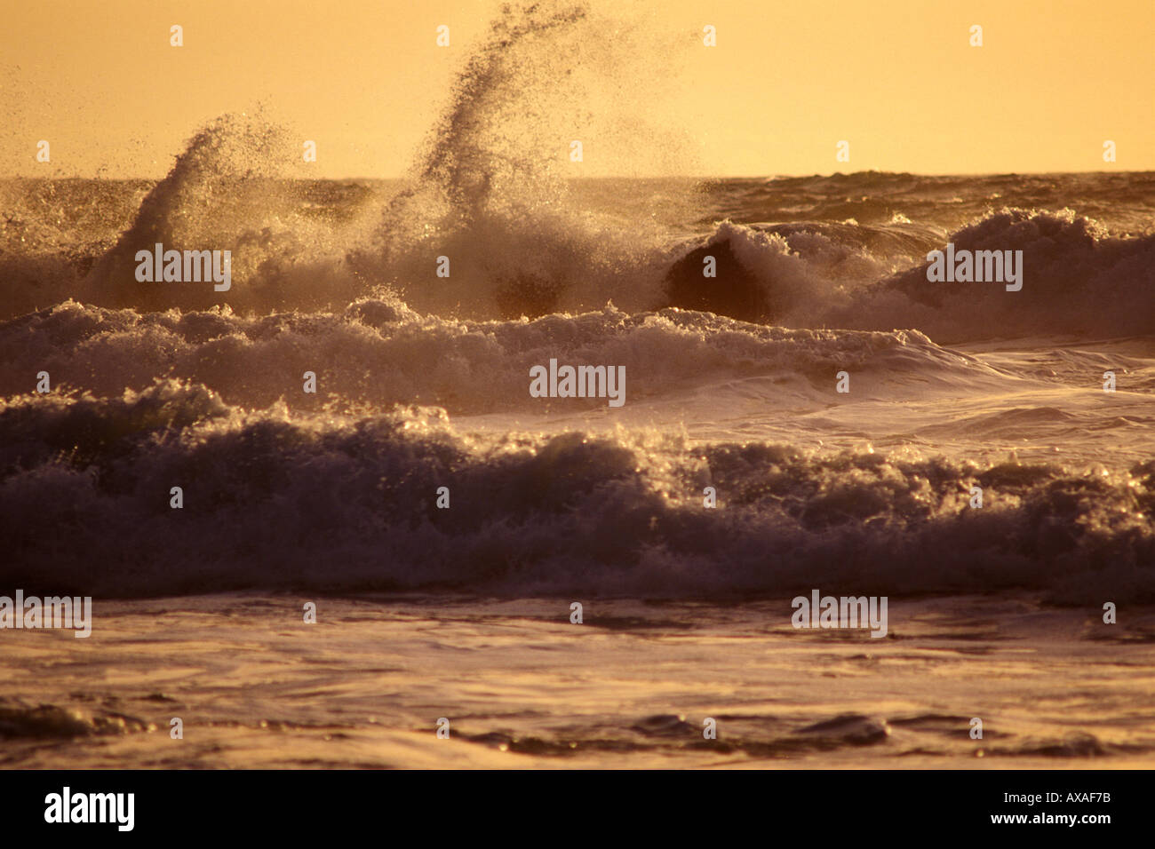 California, Point Reyes, Surf at Limantour Beach Stock Photo - Alamy