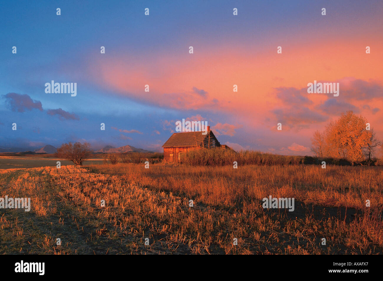 Deserted Ranch, Alberta Canada Stock Photo - Alamy