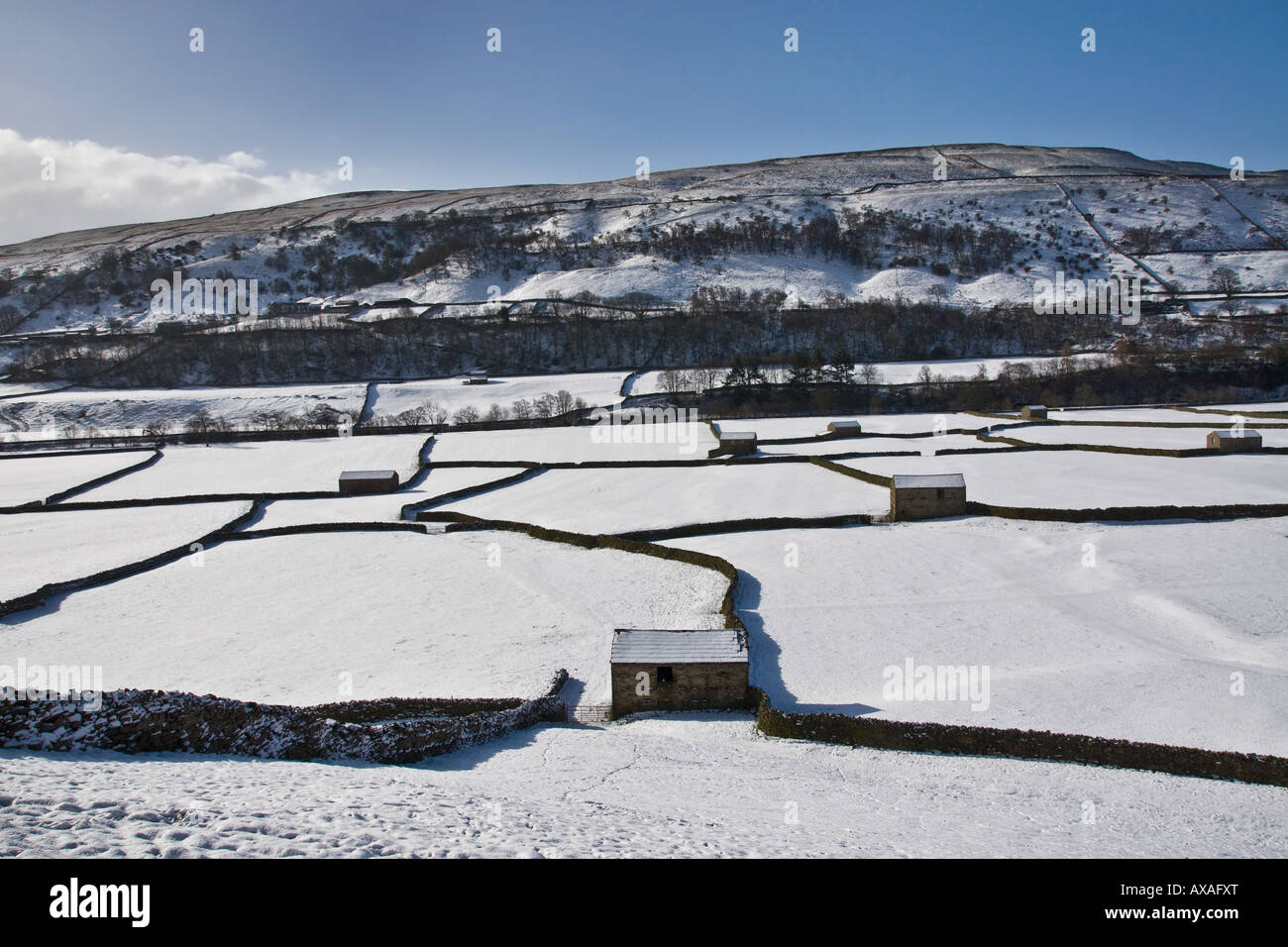 Barns and walls at Gunnerside, Swaledale Stock Photo - Alamy
