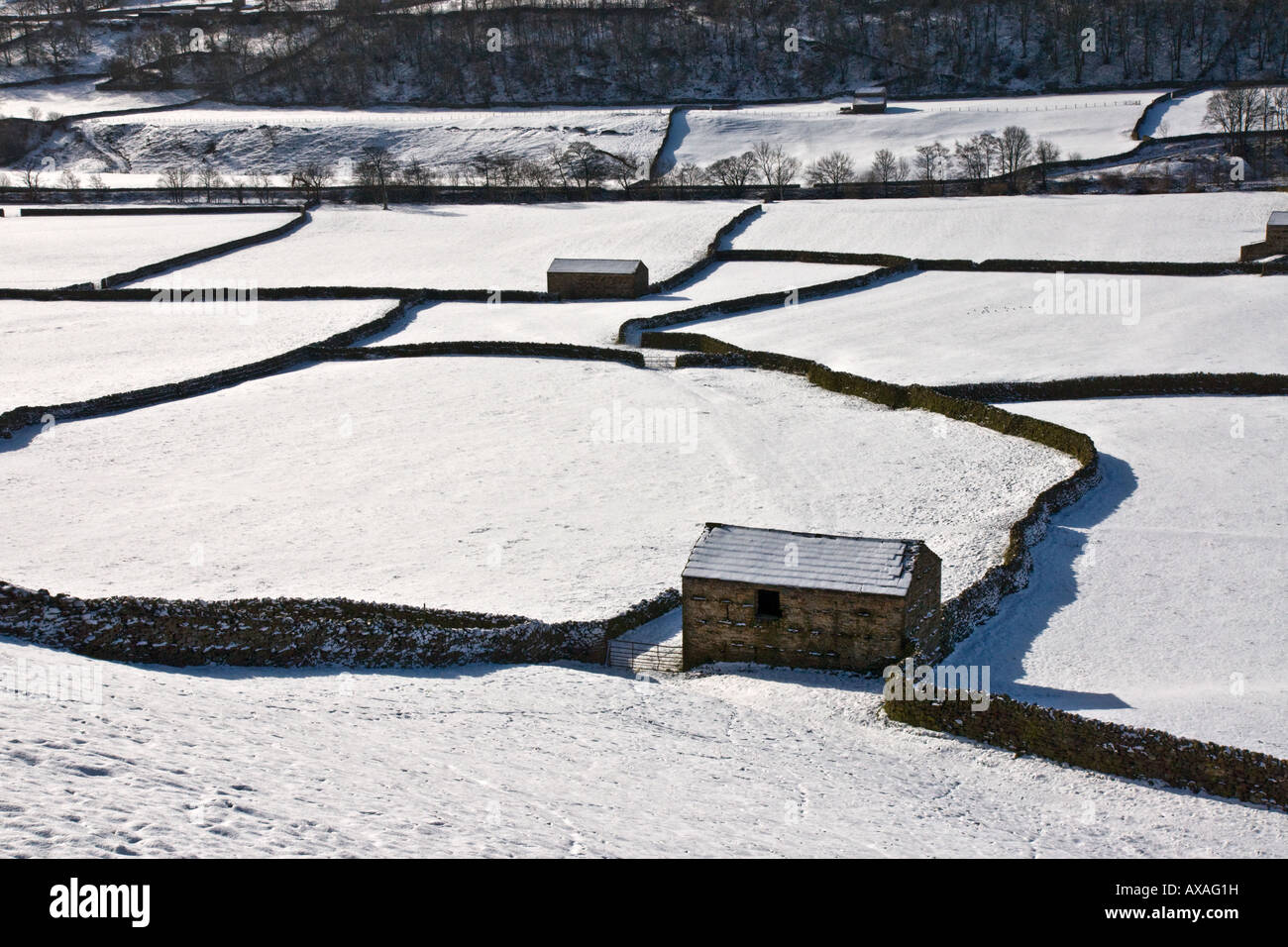 Barns and walls at Gunnerside, Swaledale Stock Photo - Alamy