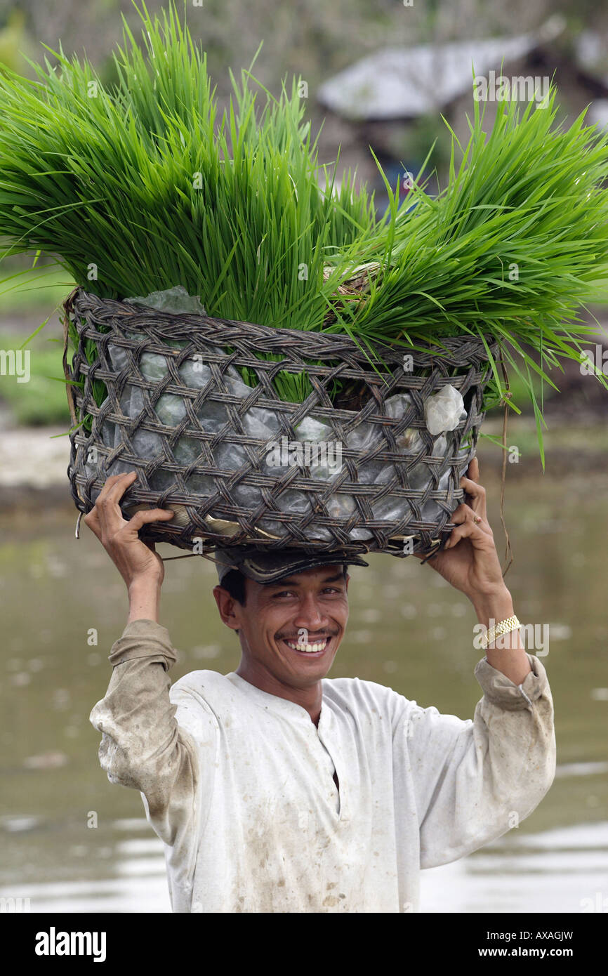 Indonesia carry hi-res stock photography and images - Alamy