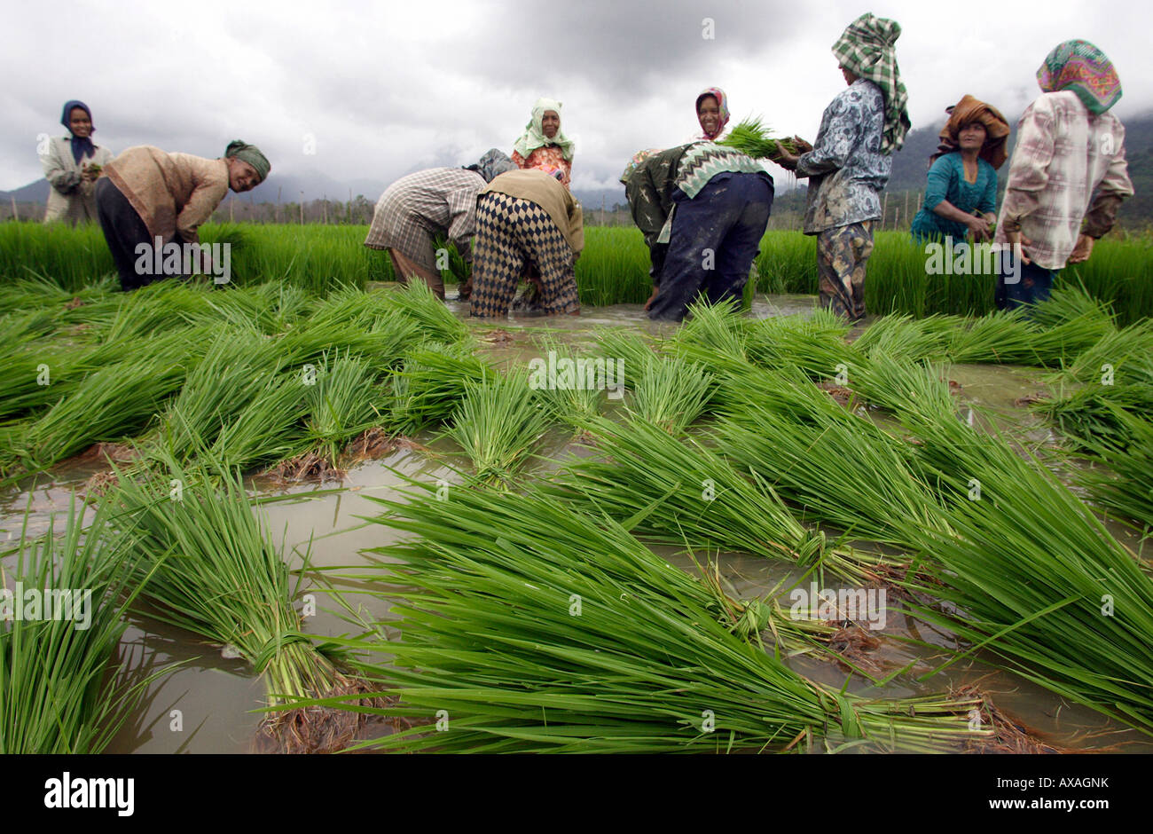 Lamno hi-res stock photography and images - Alamy