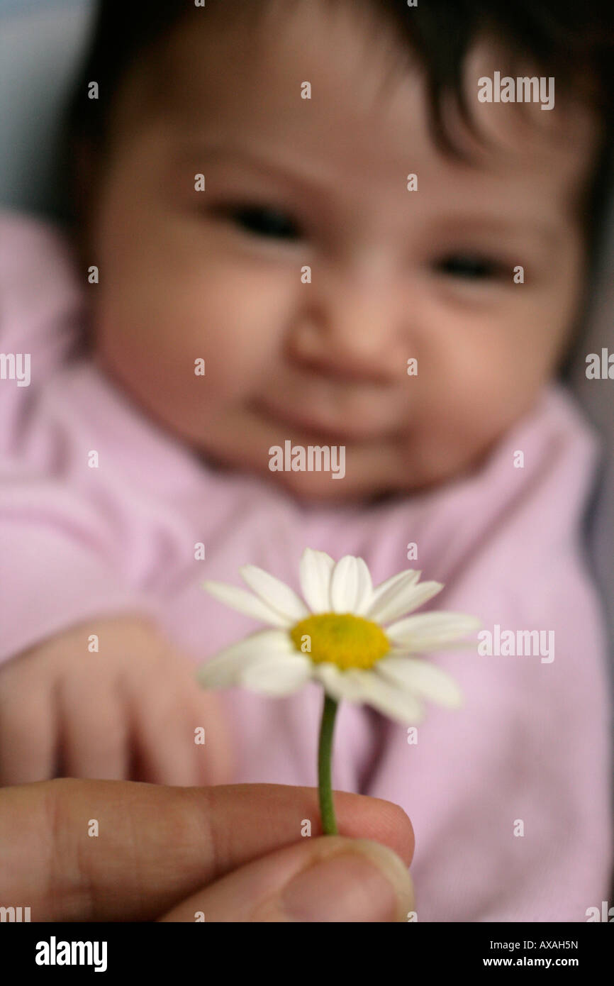 Baby being shown flower Stock Photo - Alamy