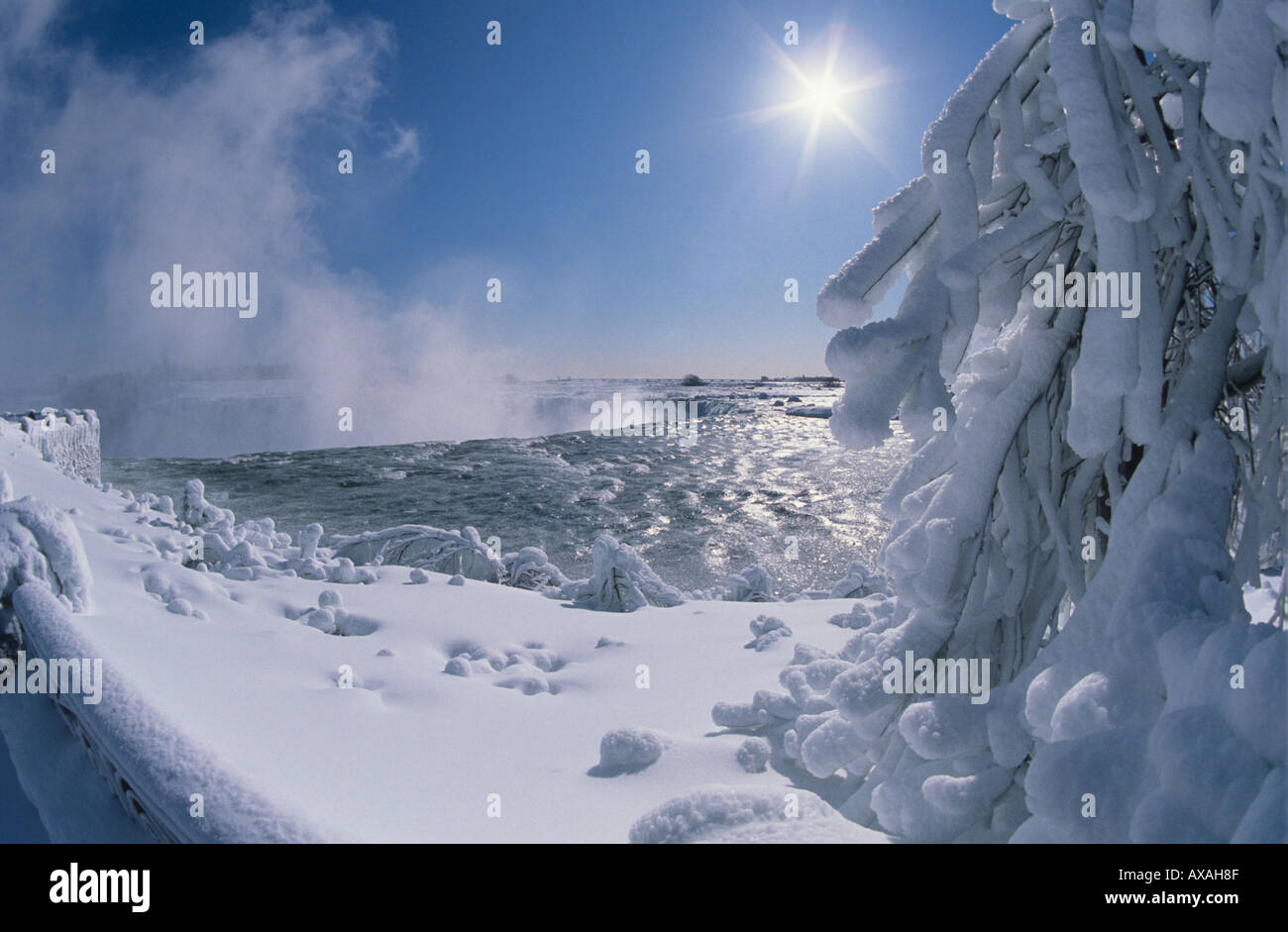 Niagara Falls winter Freezing mist from the falls coats trees with ice ...