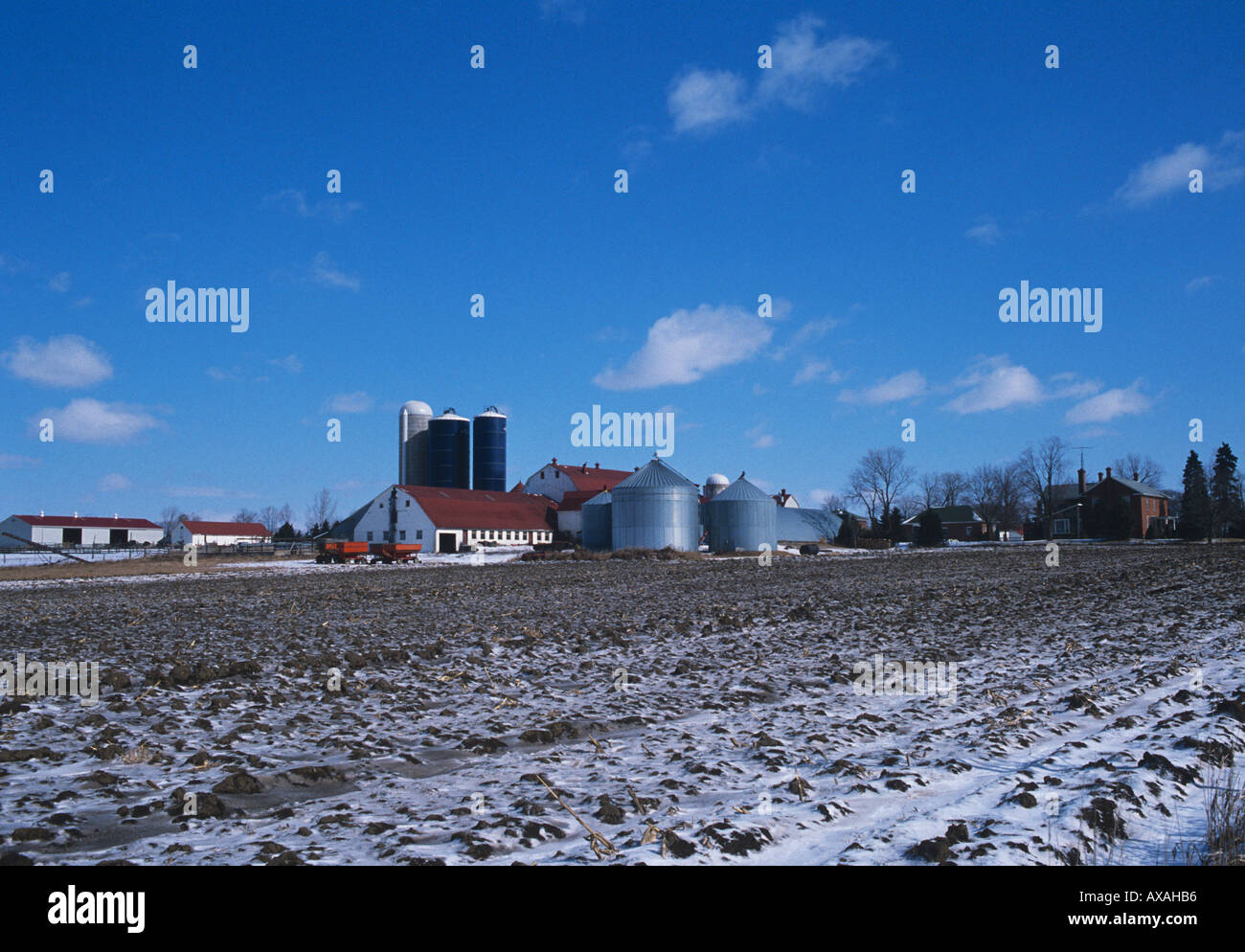 Eastern Ontario farm with barns and feed silos for cattle over the long ...