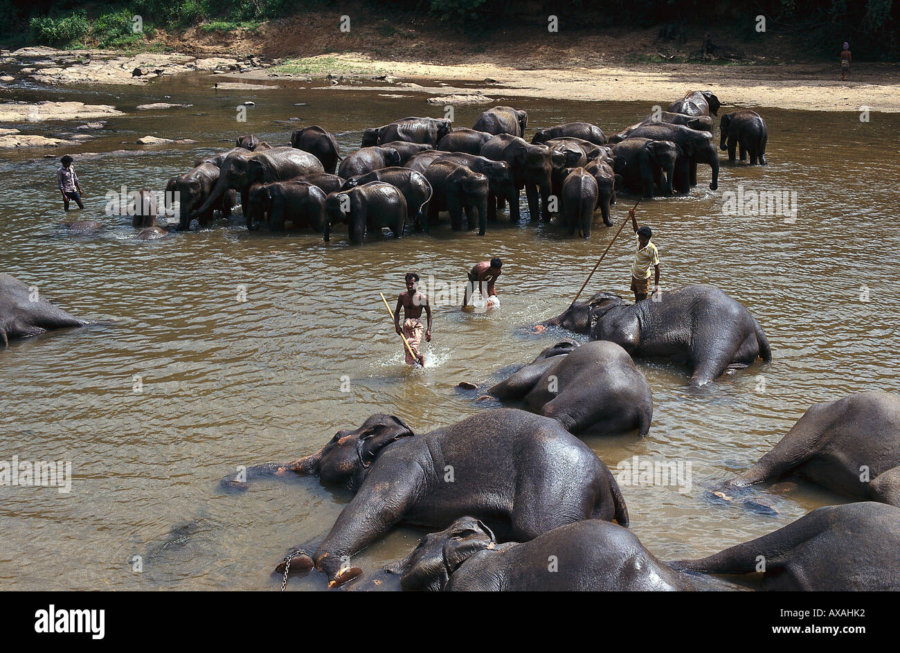 Ma Oya High Resolution Stock Photography and Images - Alamy
