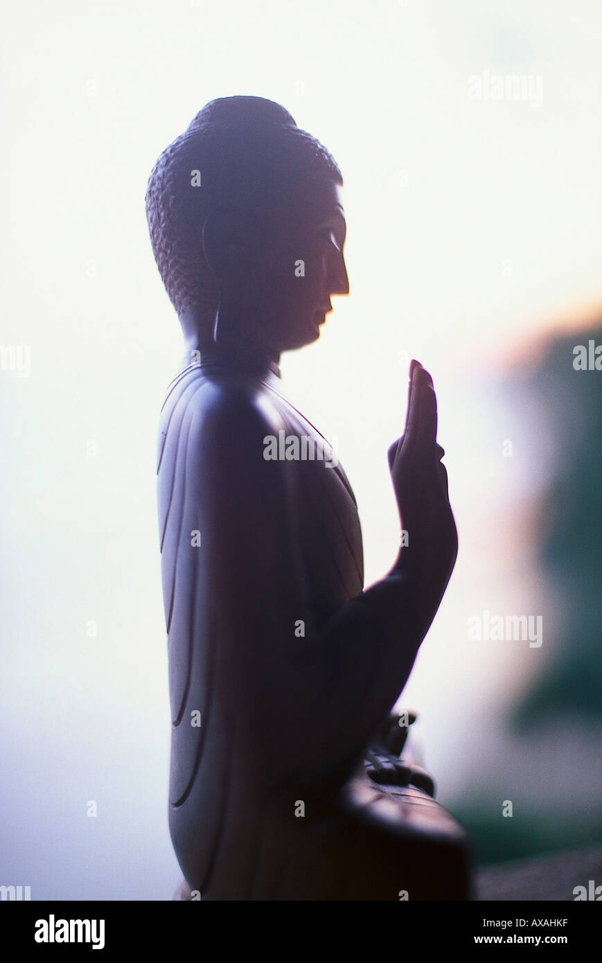 Buddha Statue in Hotel Paragon, Galle, Sri Lanka Stock Photo - Alamy
