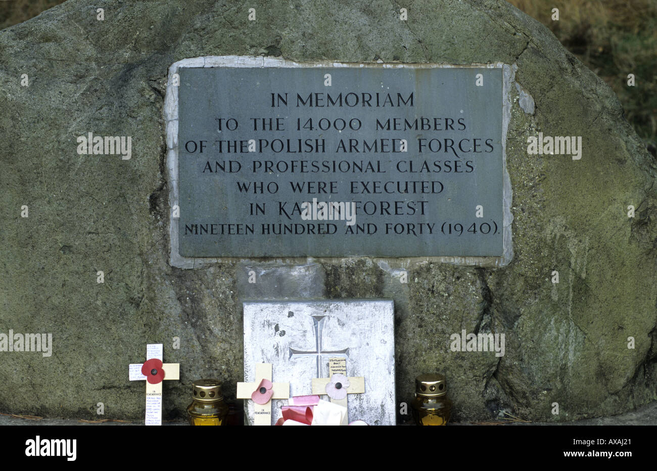 Katyn Forest High Resolution Stock Photography and Images - Alamy