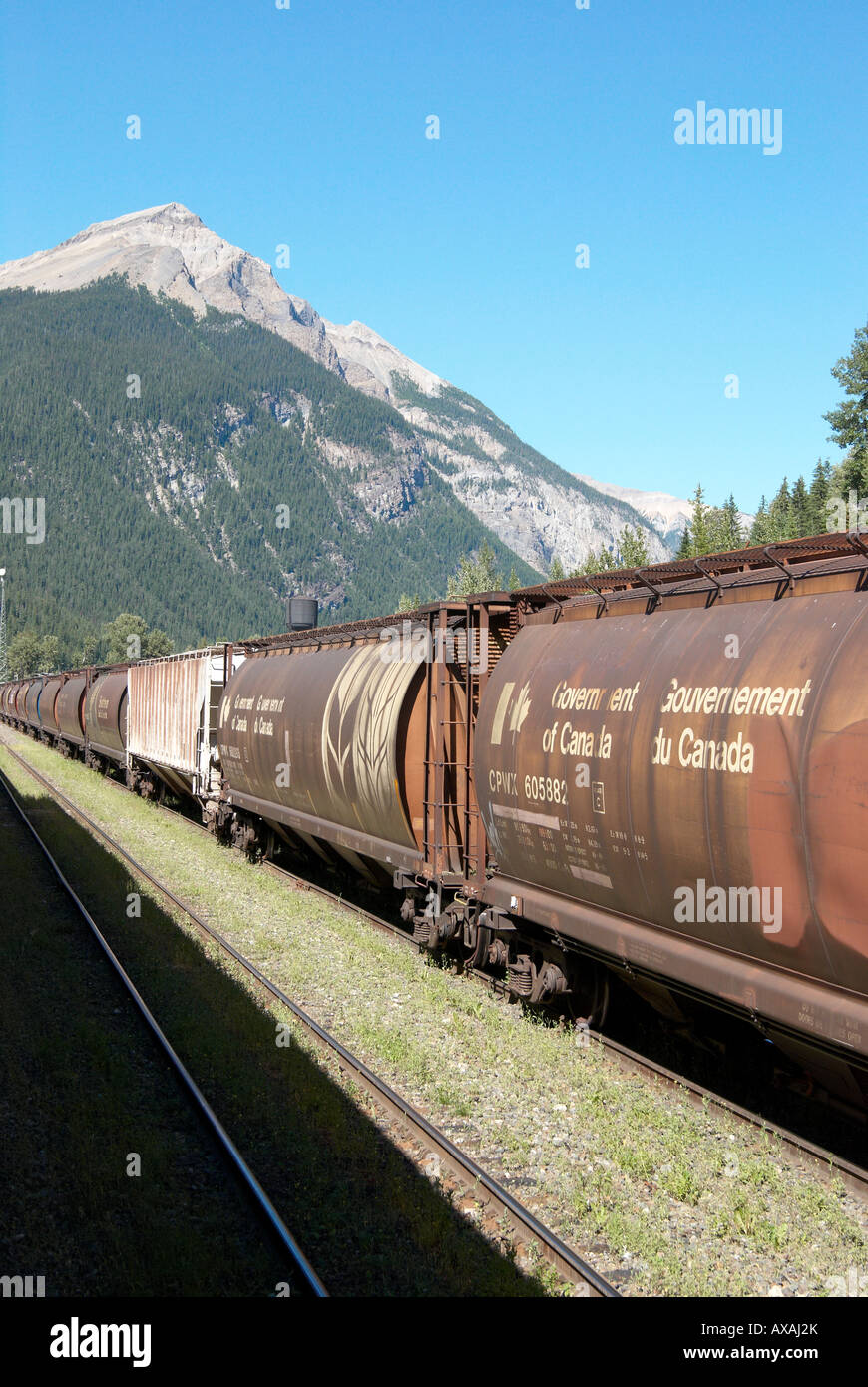Train of tank cars on the Canadian Pacific Railway near Field, Alberta ...