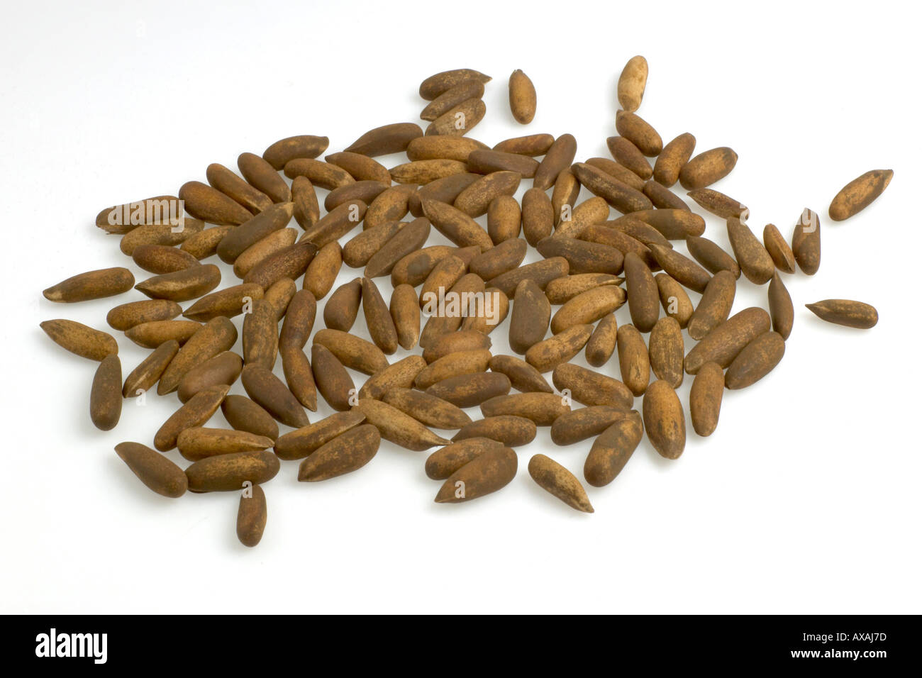 Chilgoza hi-res stock photography and images - Alamy