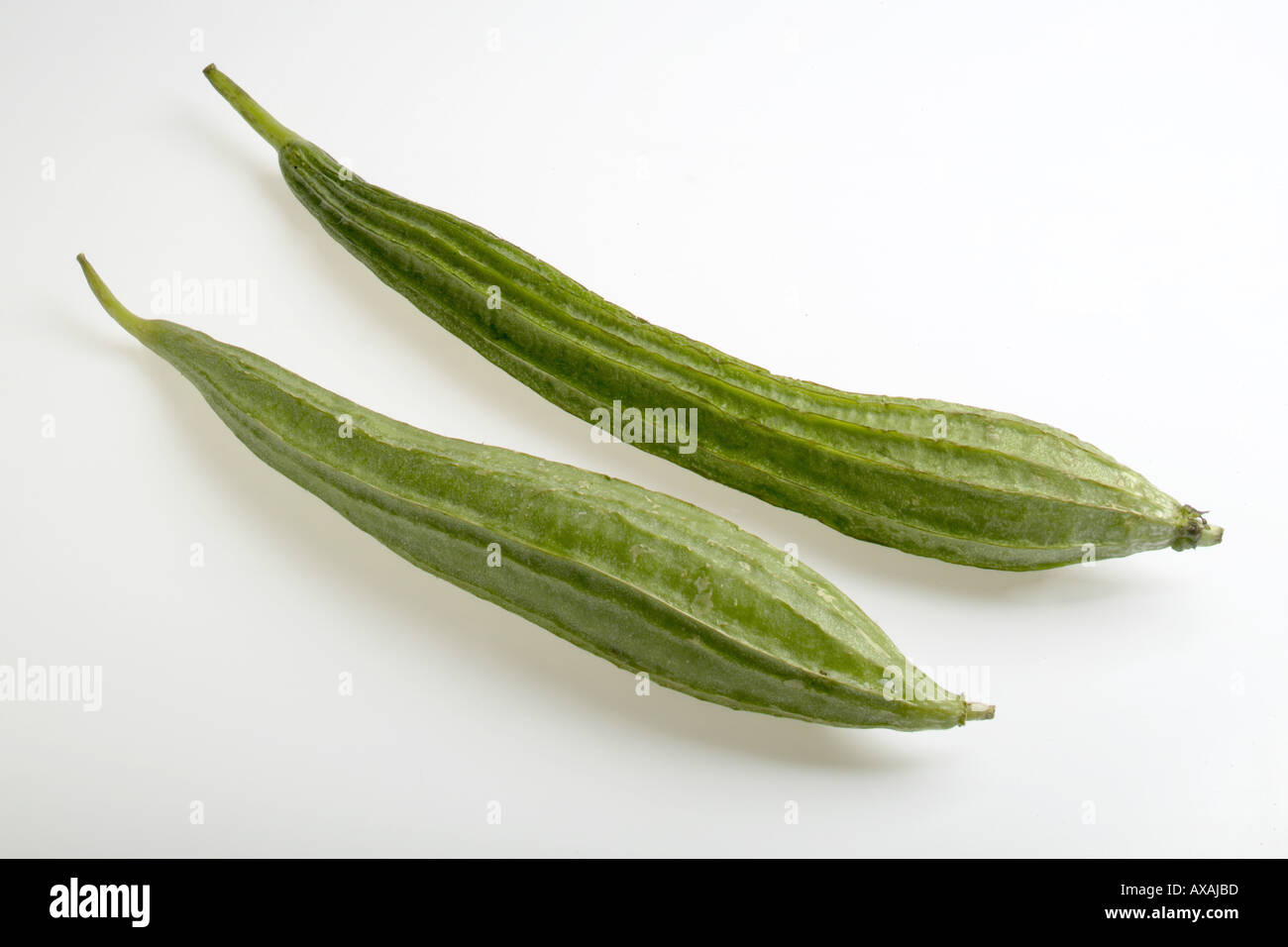 Axajbd hi-res stock photography and images - Alamy