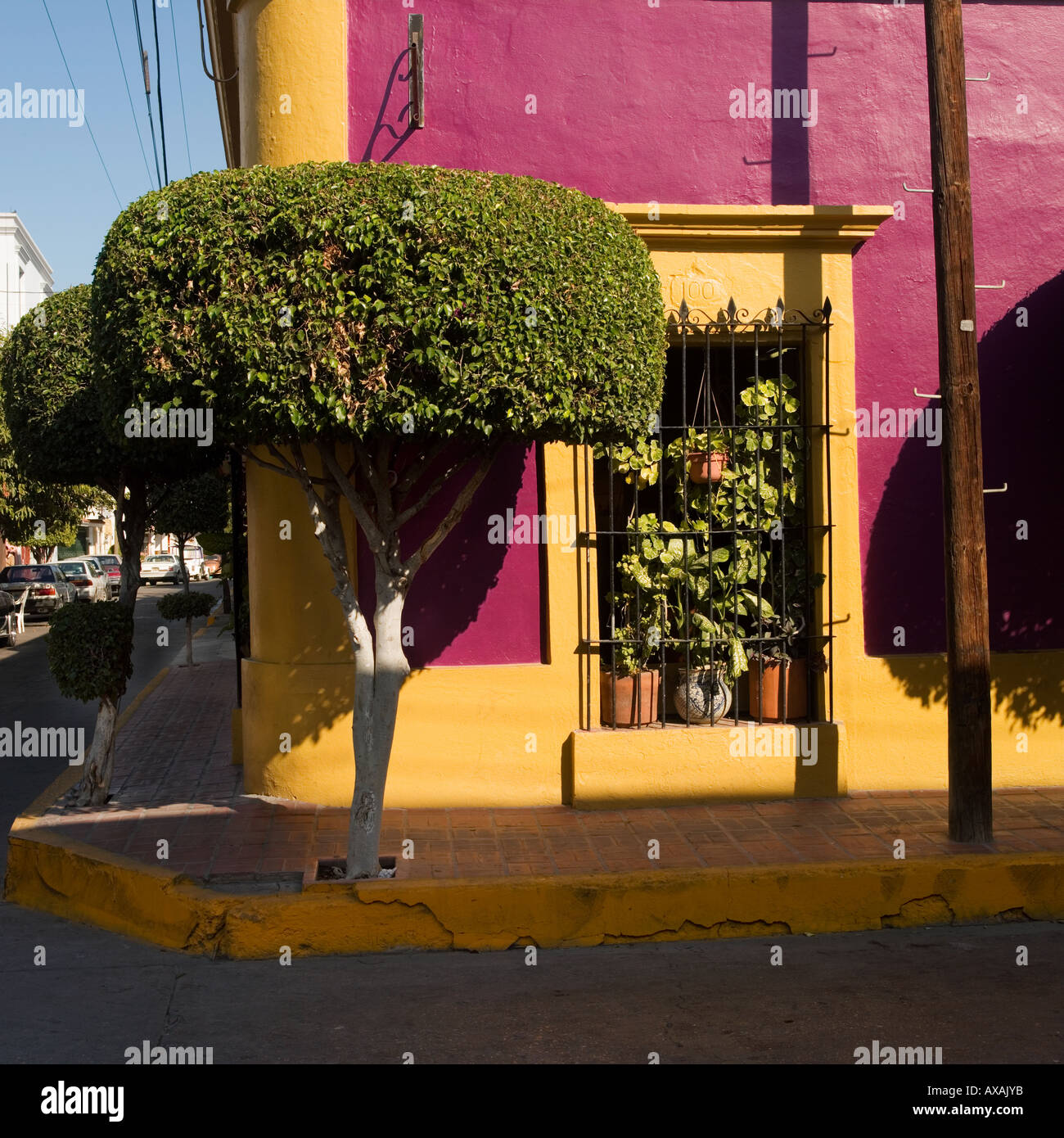 bright colours of tropical neo-Classical style characterizing Sinaloan ...