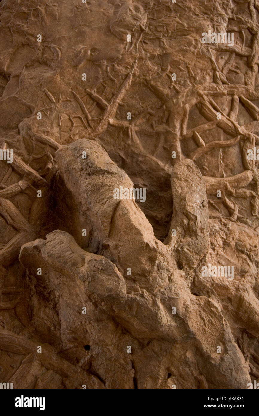 a dinosaur footprint in mud in utah Stock Photo - Alamy