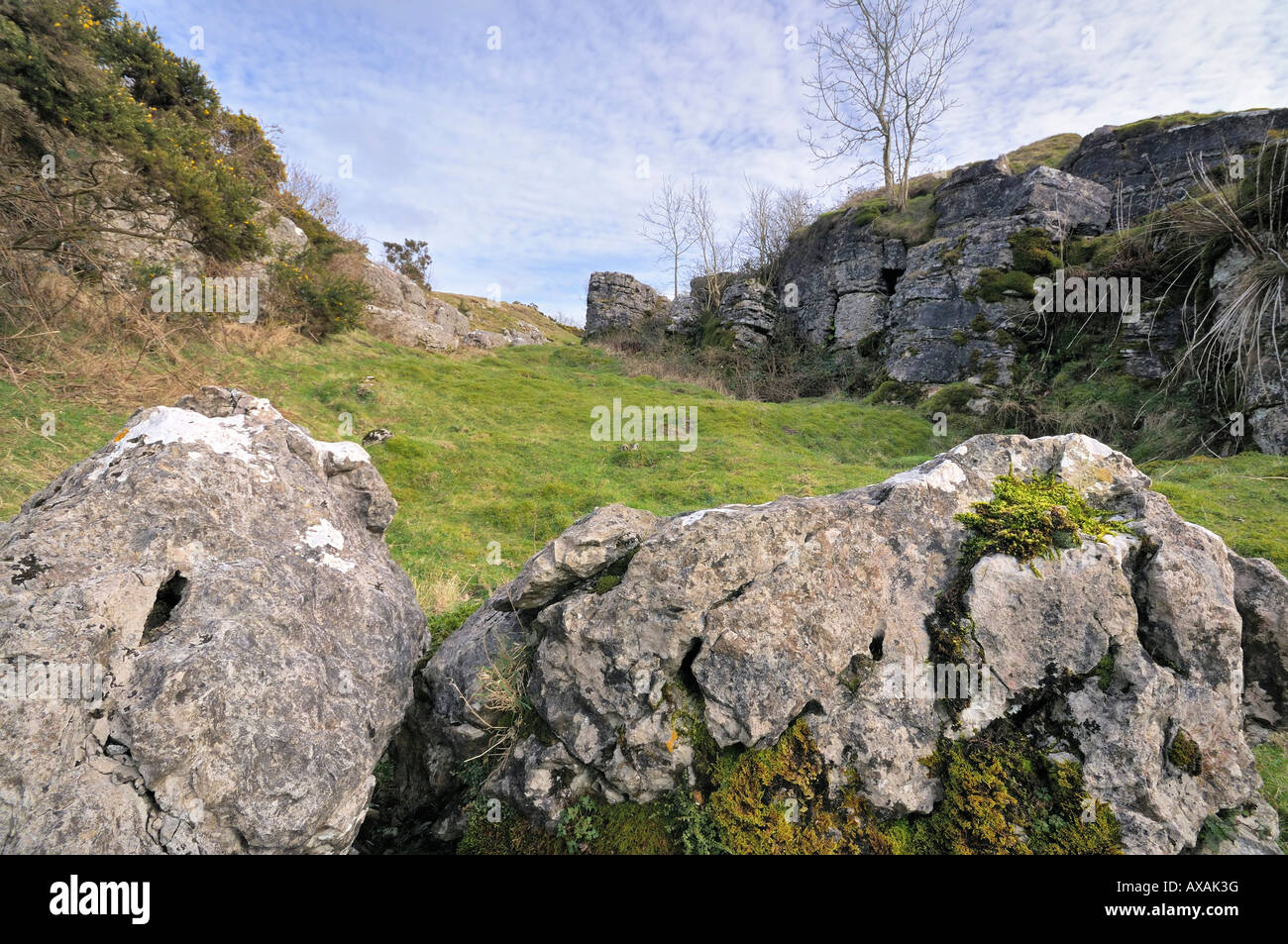 Limestone Cliffs and Rock Formations Ubley Warren Blackdown ...