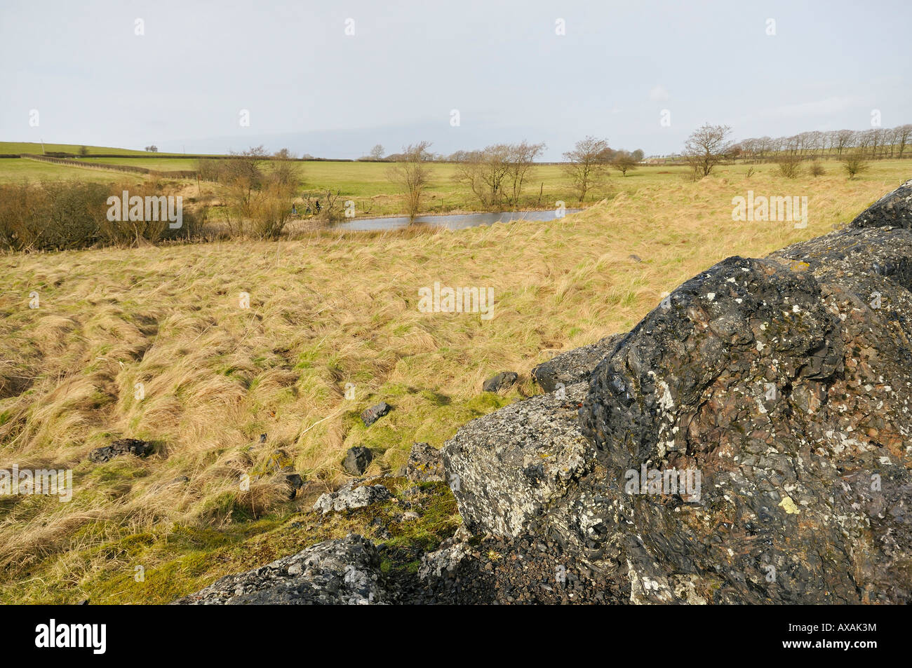 Charterhouse somerset roman hi-res stock photography and images - Alamy