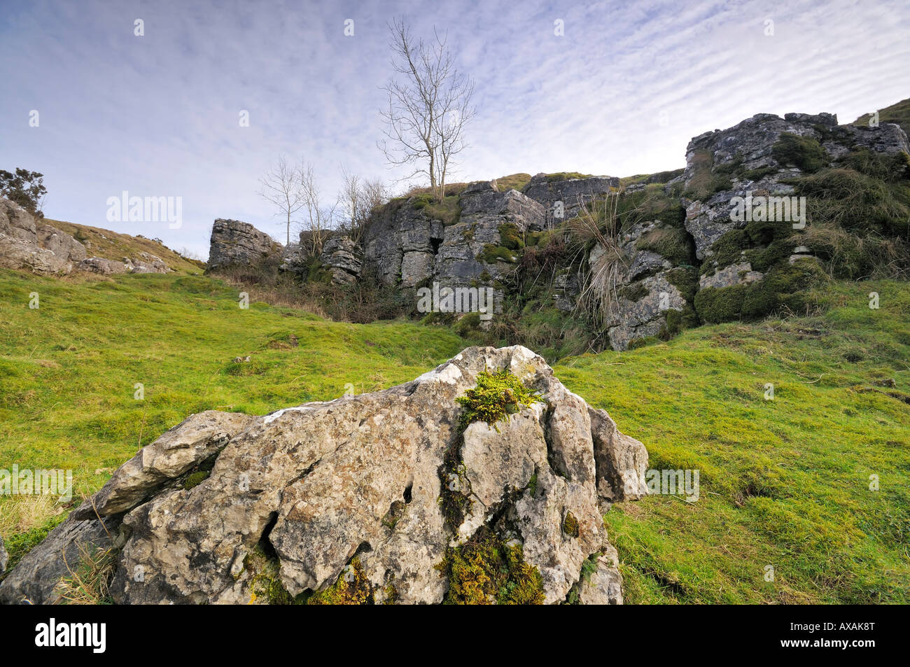 Limestone Cliffs and Rock Formations Ubley Warren Blackdown ...