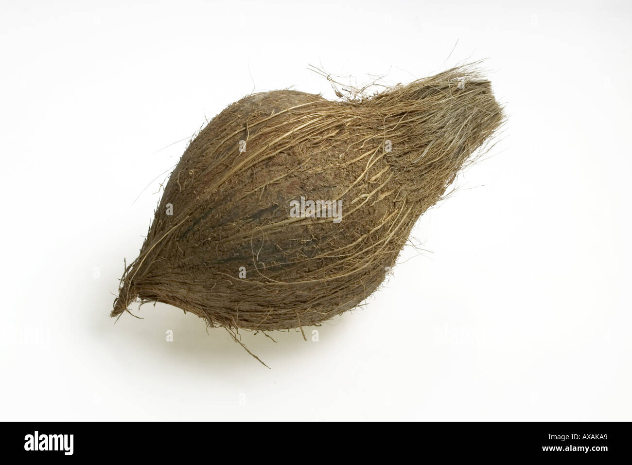 Fibrous Husk High Resolution Stock Photography and Images - Alamy