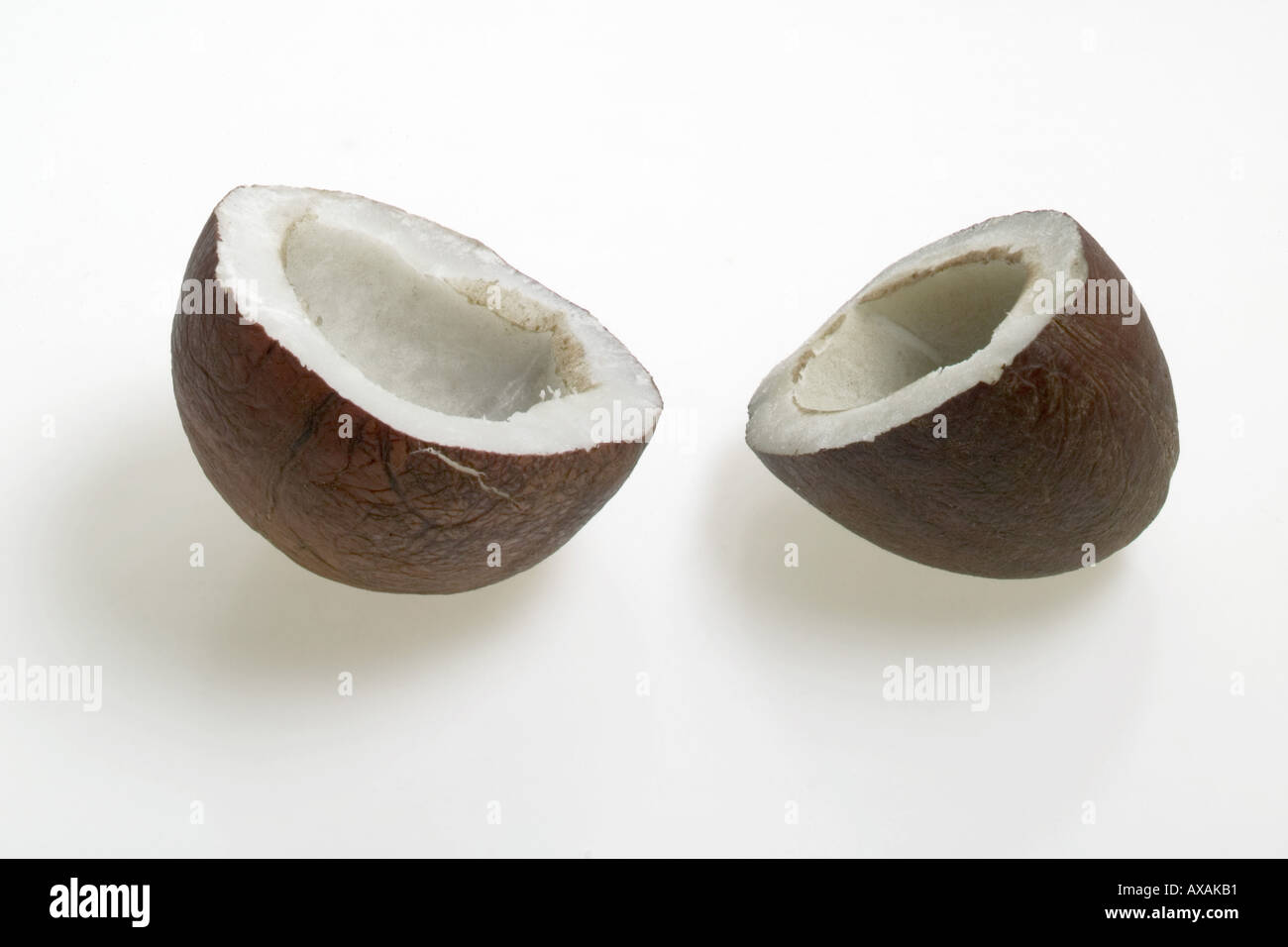 AAD73212 Two pieces of Dried Coconut Copra on white background Stock ...