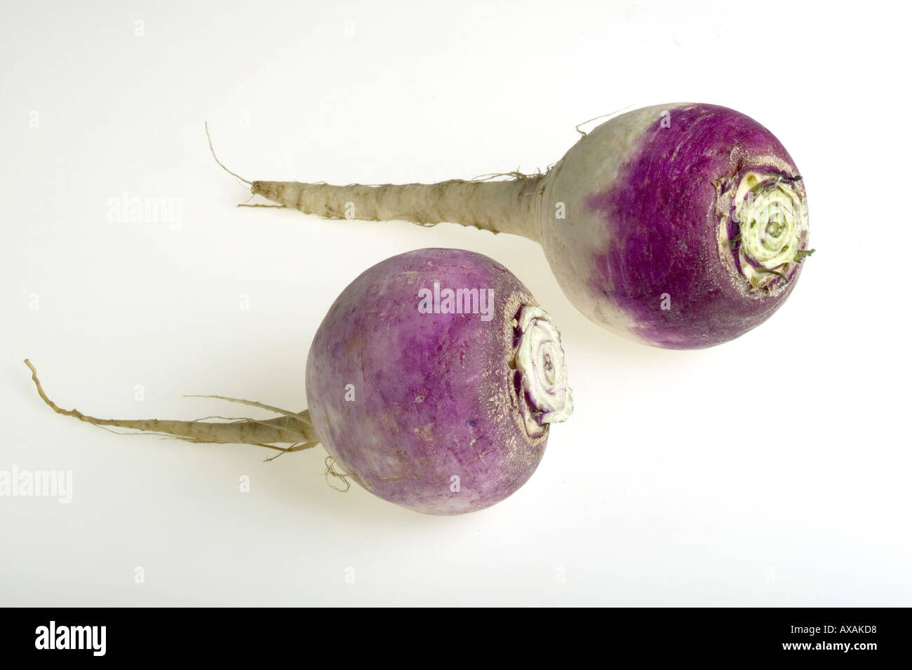 Turnip white turnip root vegetable on white background Stock Photo - Alamy