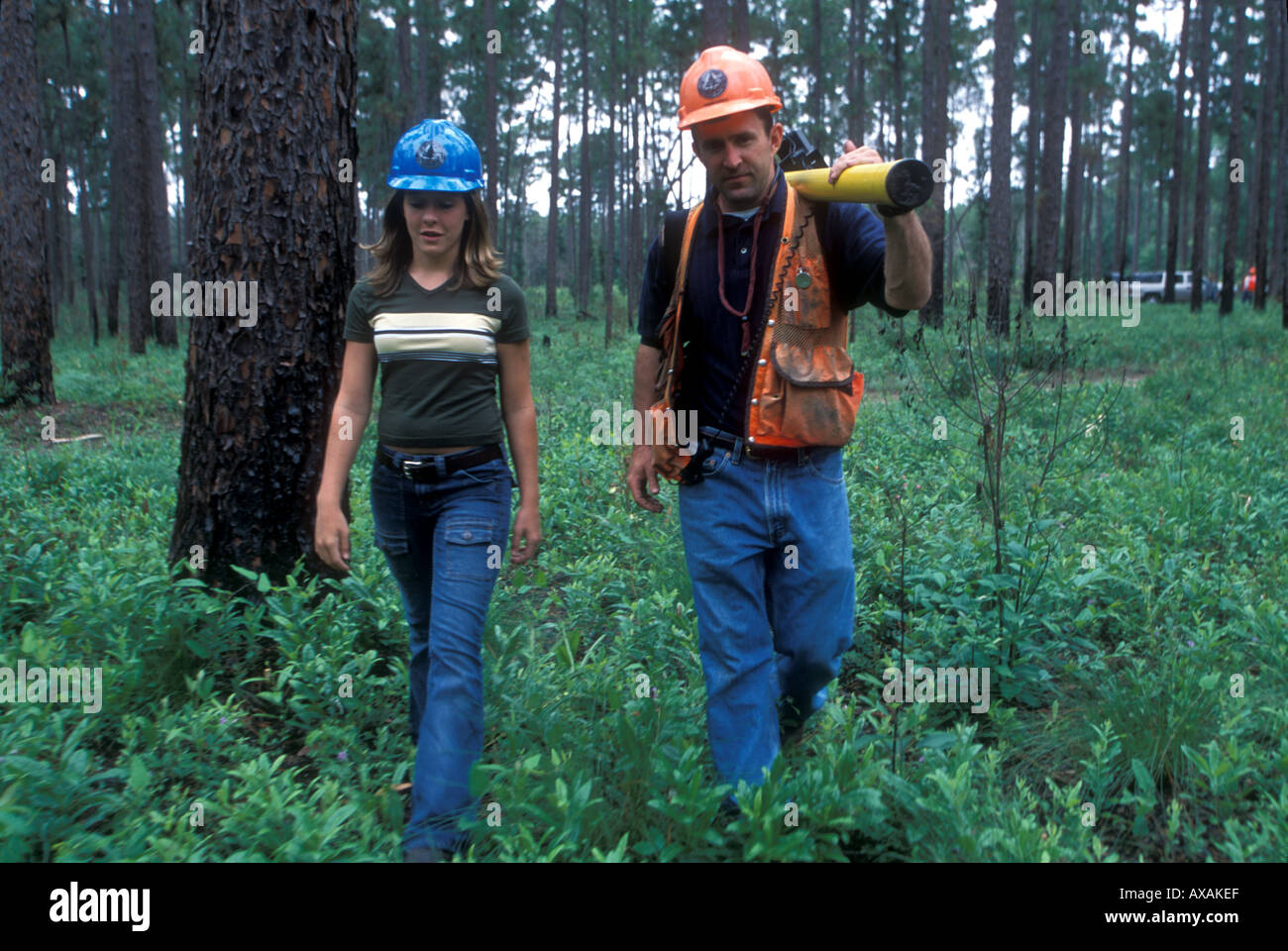 Forestry scientists hi-res stock photography and images - Alamy