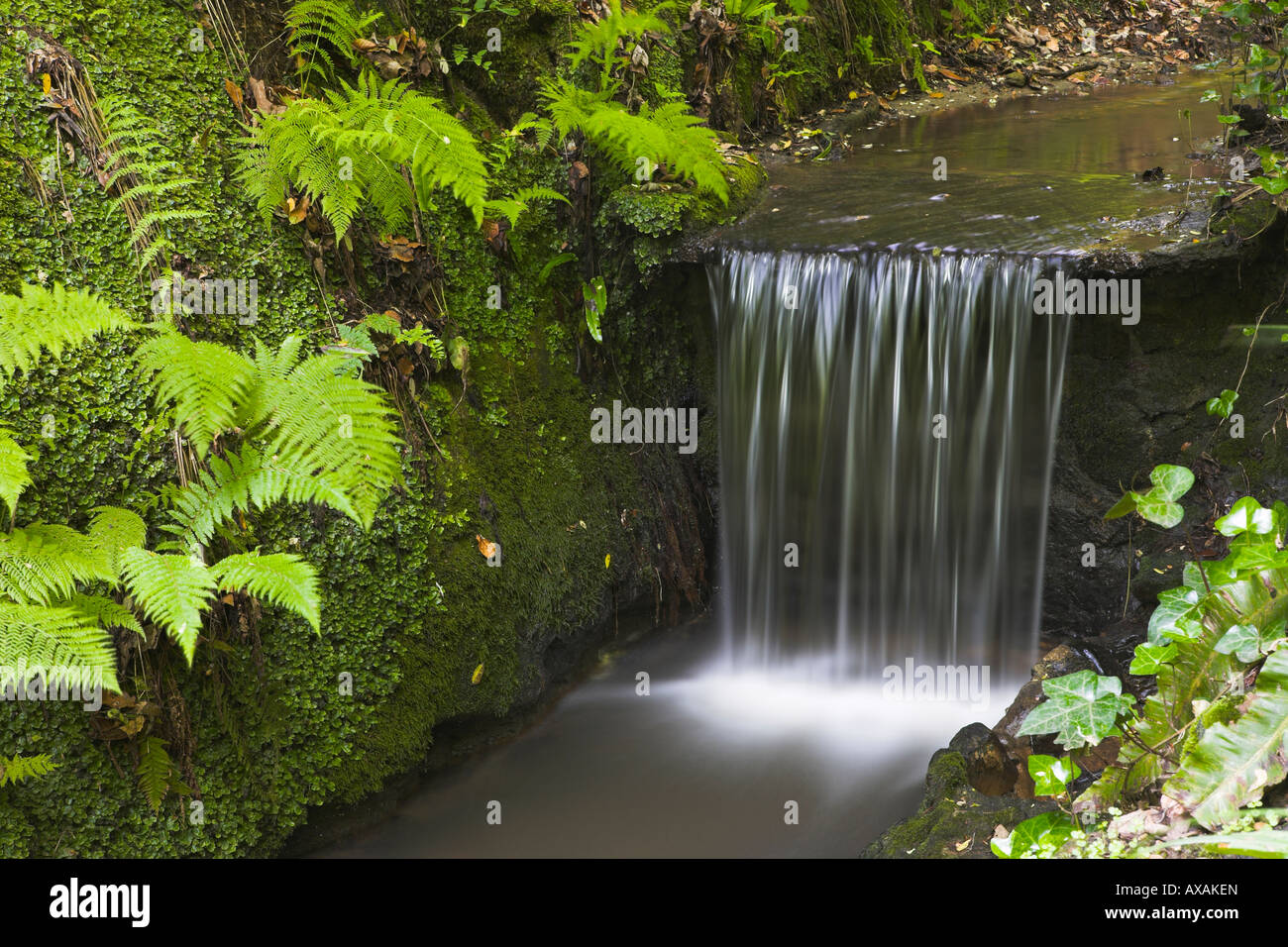 Shanklin chine isle of wight hi-res stock photography and images - Alamy