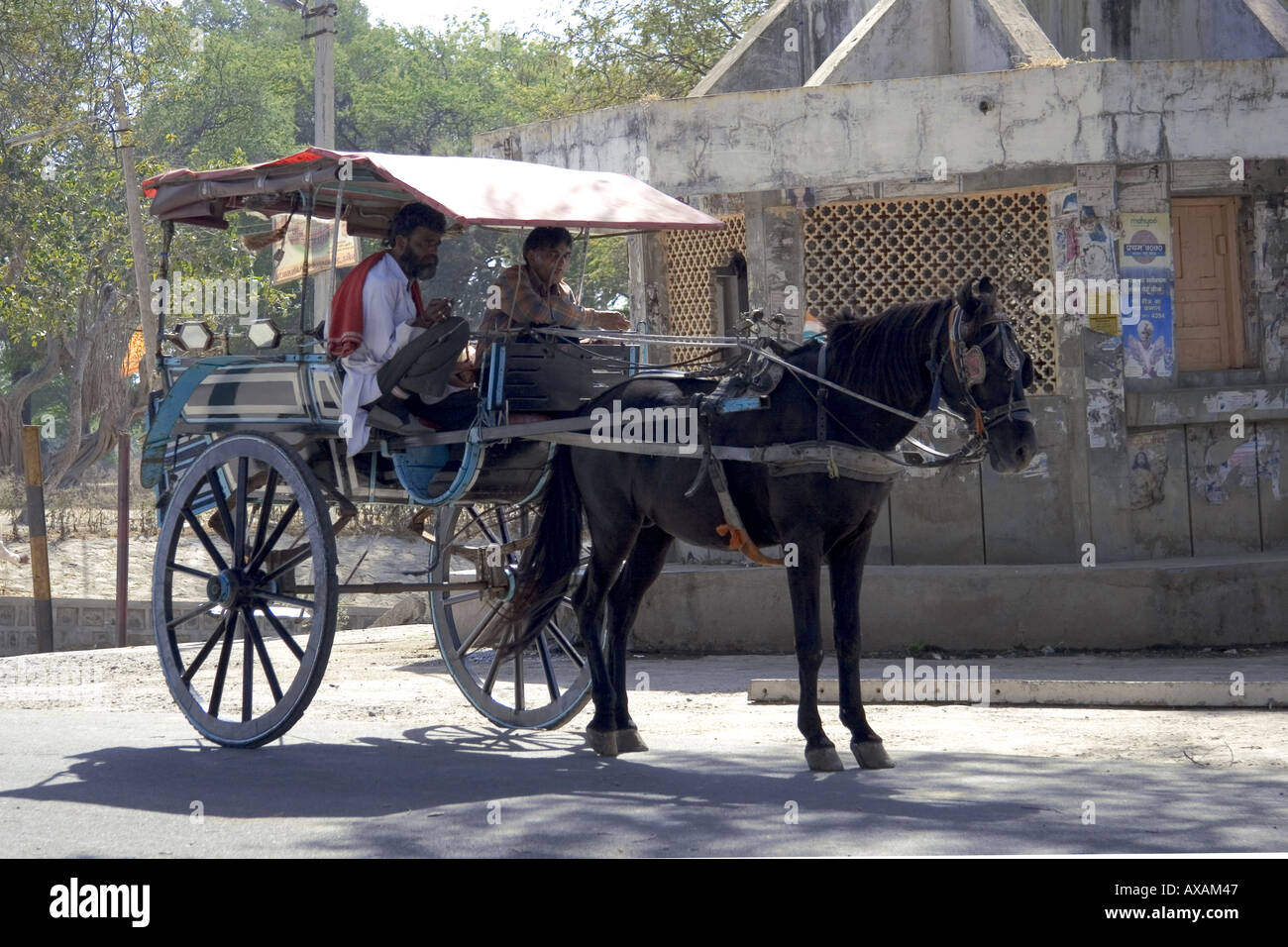 AAD73187 Horse carriage Buggy a small lightweight carriage drawn by a ...