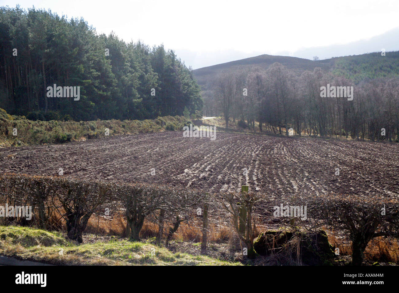 Uk Farm And Hedge And Field Stock Photos & Uk Farm And Hedge And Field ...