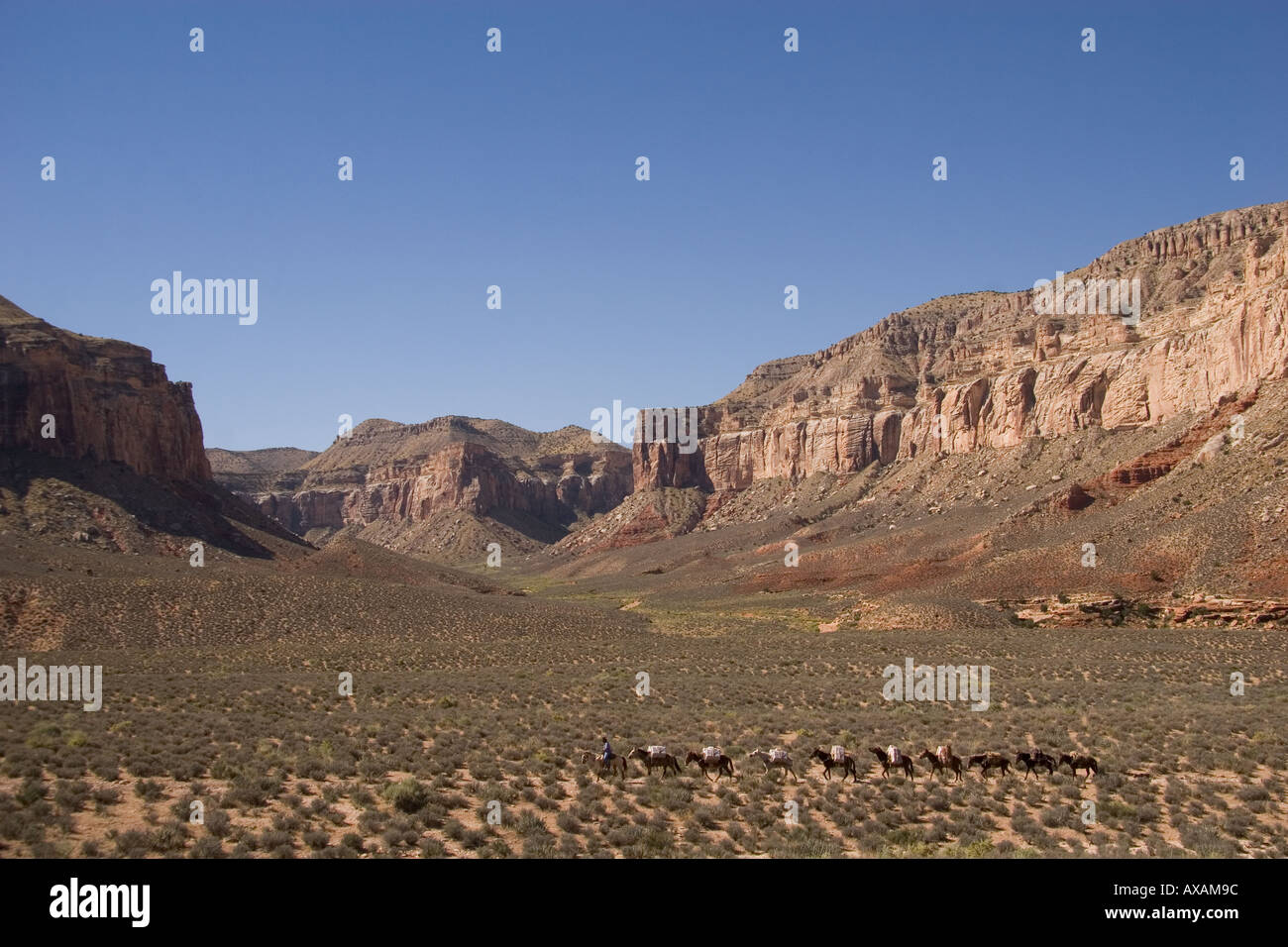 Native tribes grand canyon hi-res stock photography and images - Alamy