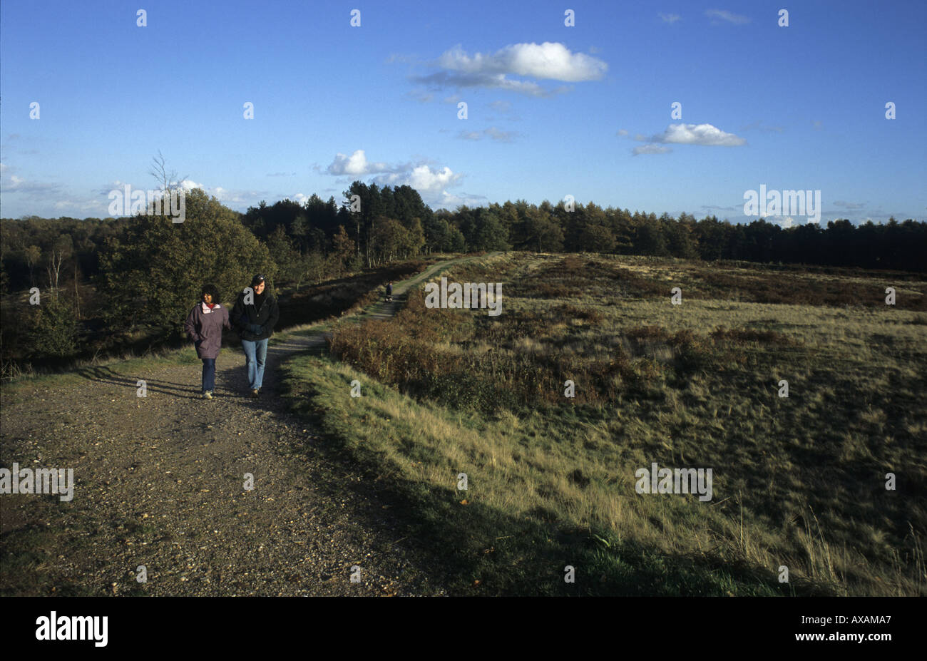 Castle Ring, Cannock Chase, Staffordshire, England, UK Stock Photo - Alamy