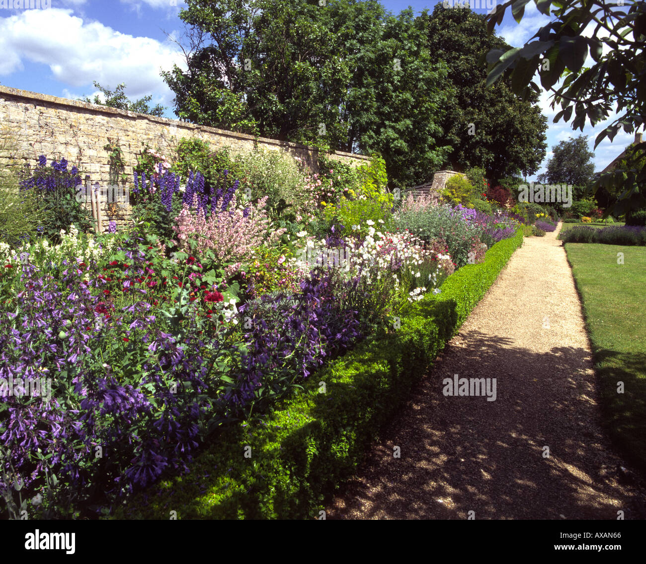 Densely planted garden border by stone wall Stock Photo - Alamy