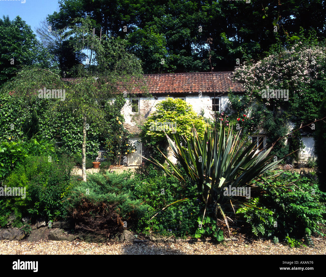 Mediterranean style garden border and outbuildings Stock Photo - Alamy