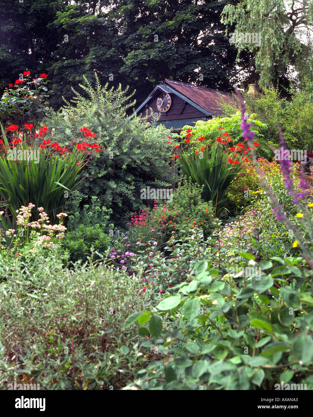 Dense garden border hi-res stock photography and images - Alamy
