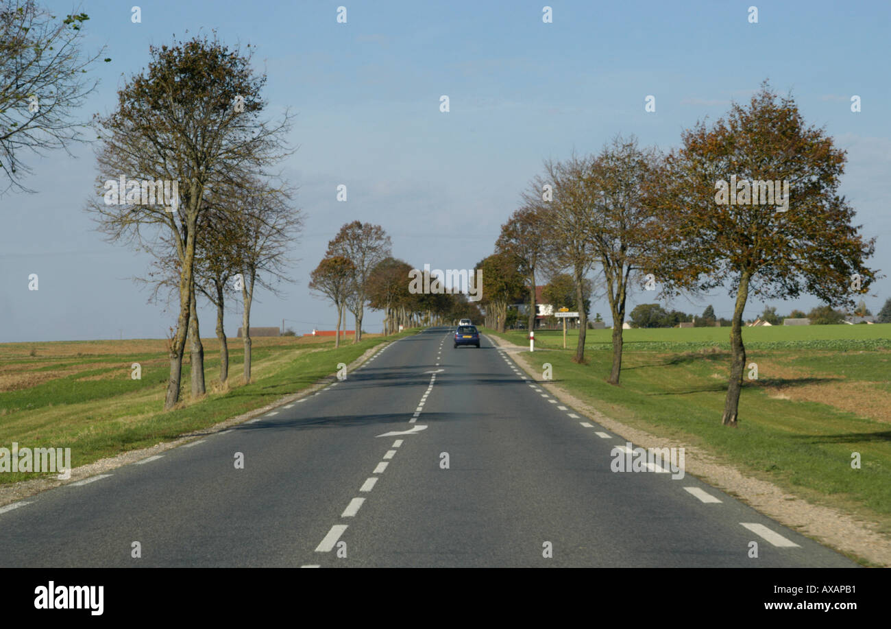 french road single lane with trees on either side Stock Photo - Alamy