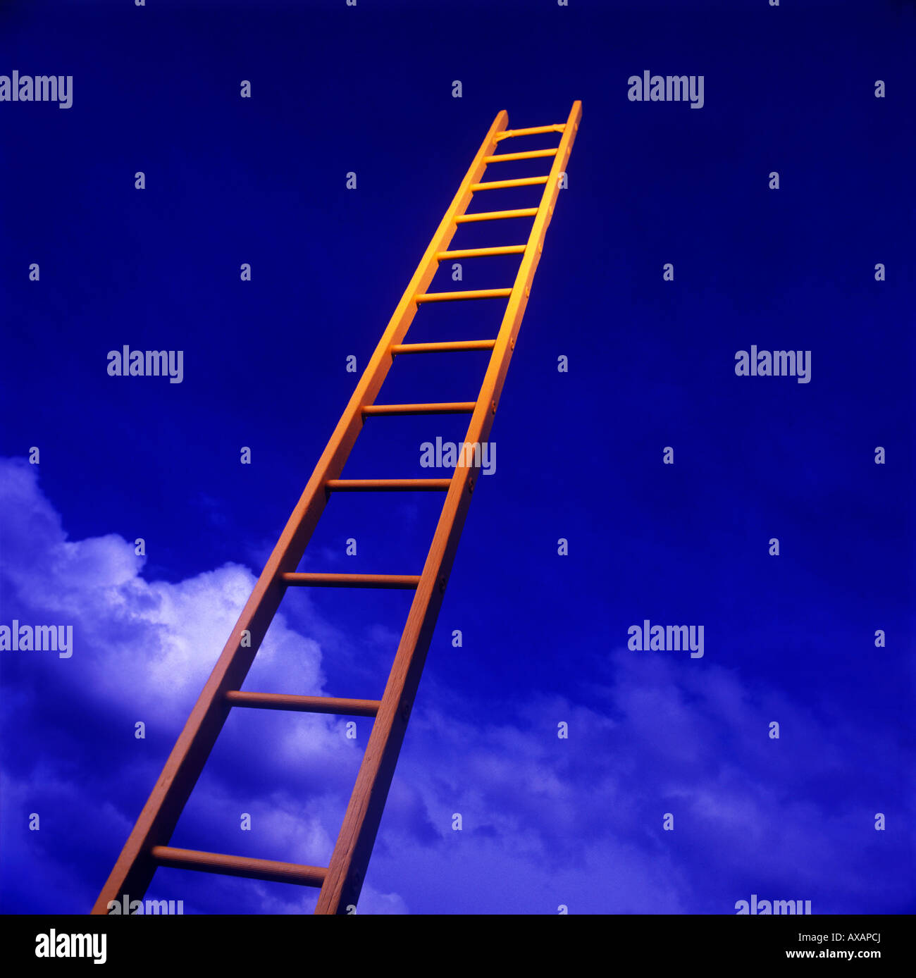 Higher degree of excellence hi-res stock photography and images - Alamy