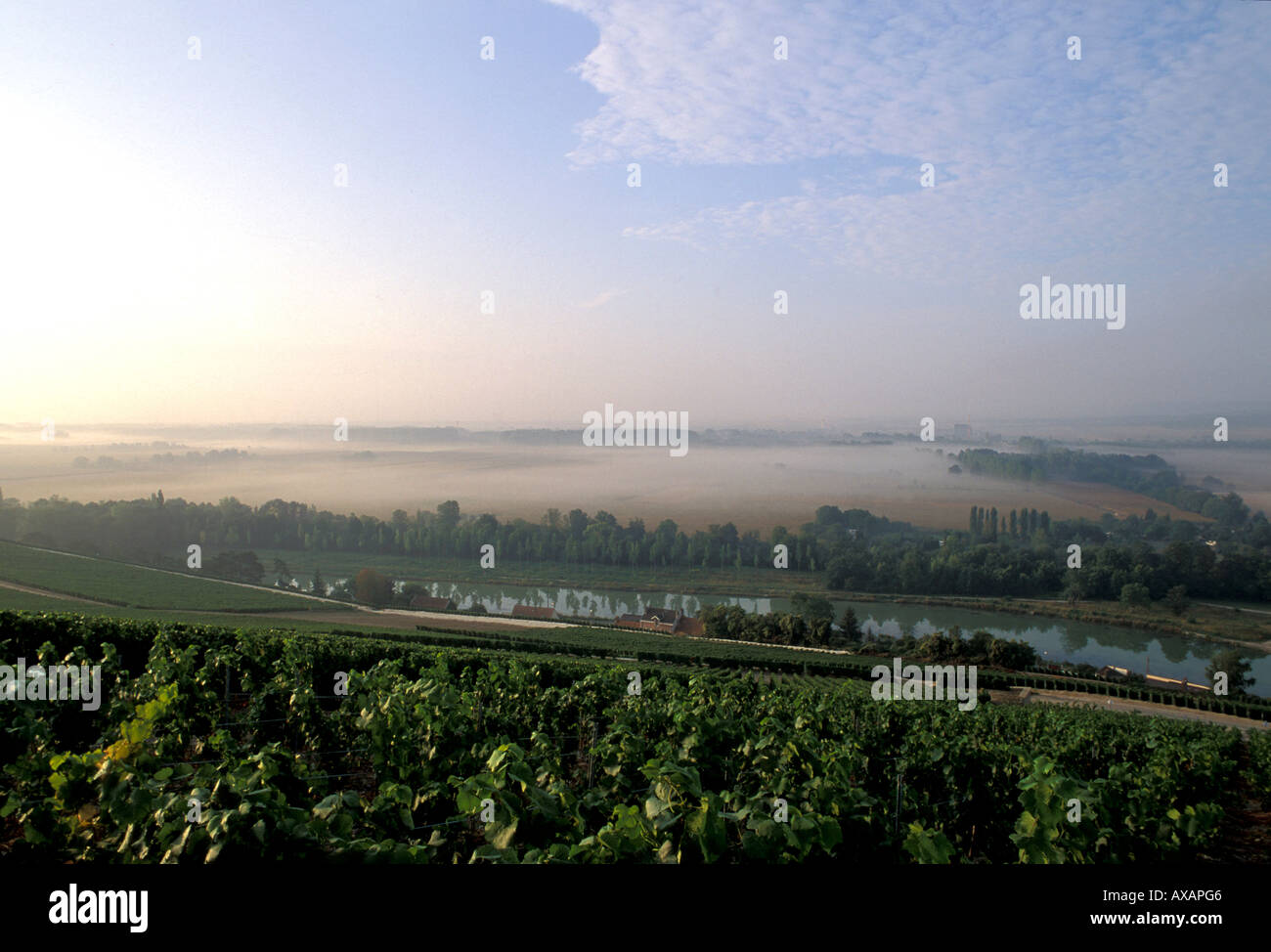 River marne hi-res stock photography and images - Alamy